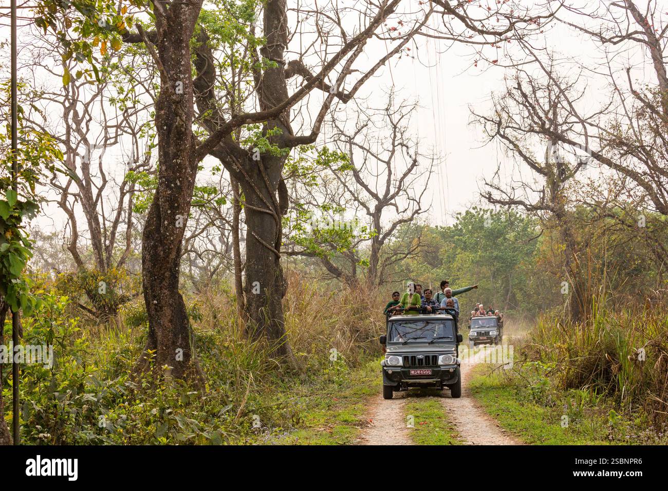 Nepal, Chitwan National Park, Sauraha, people doing a jeep safari in the national park Stock ...
