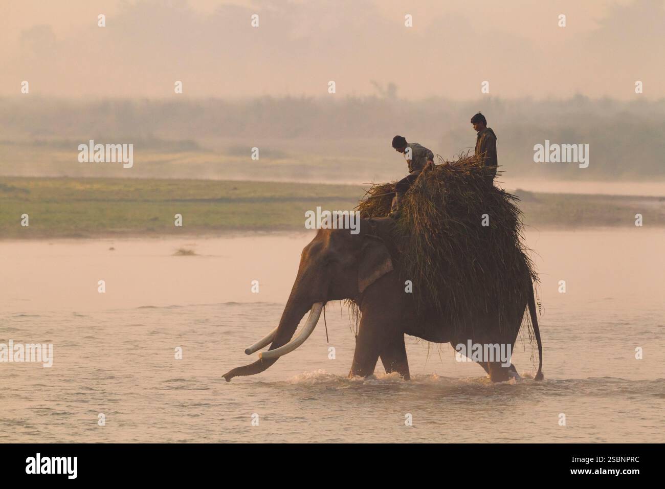 Nepal, Chitwan National Park, Sauraha, Rangers of the National Park ...