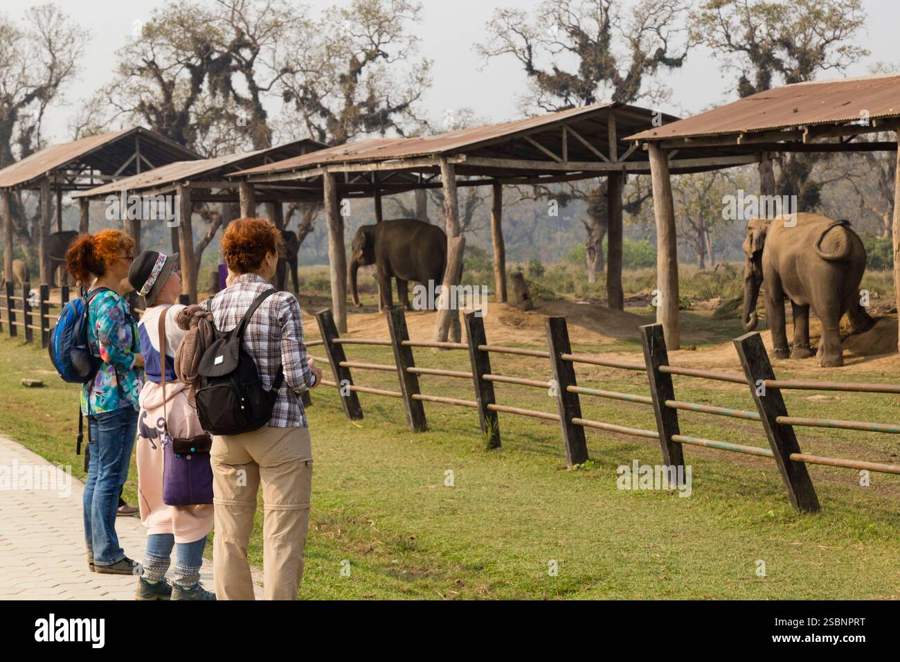 Nepal, Chitwan National Park, Sauraha, tourists visiting the Elephant ...