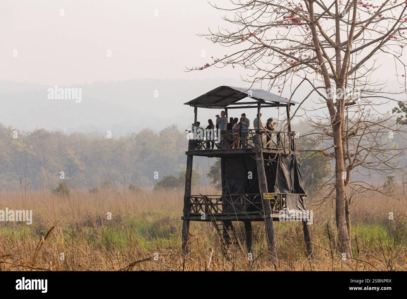 Nepal, Chitwan National Park, people looking for animals like rhino and ...