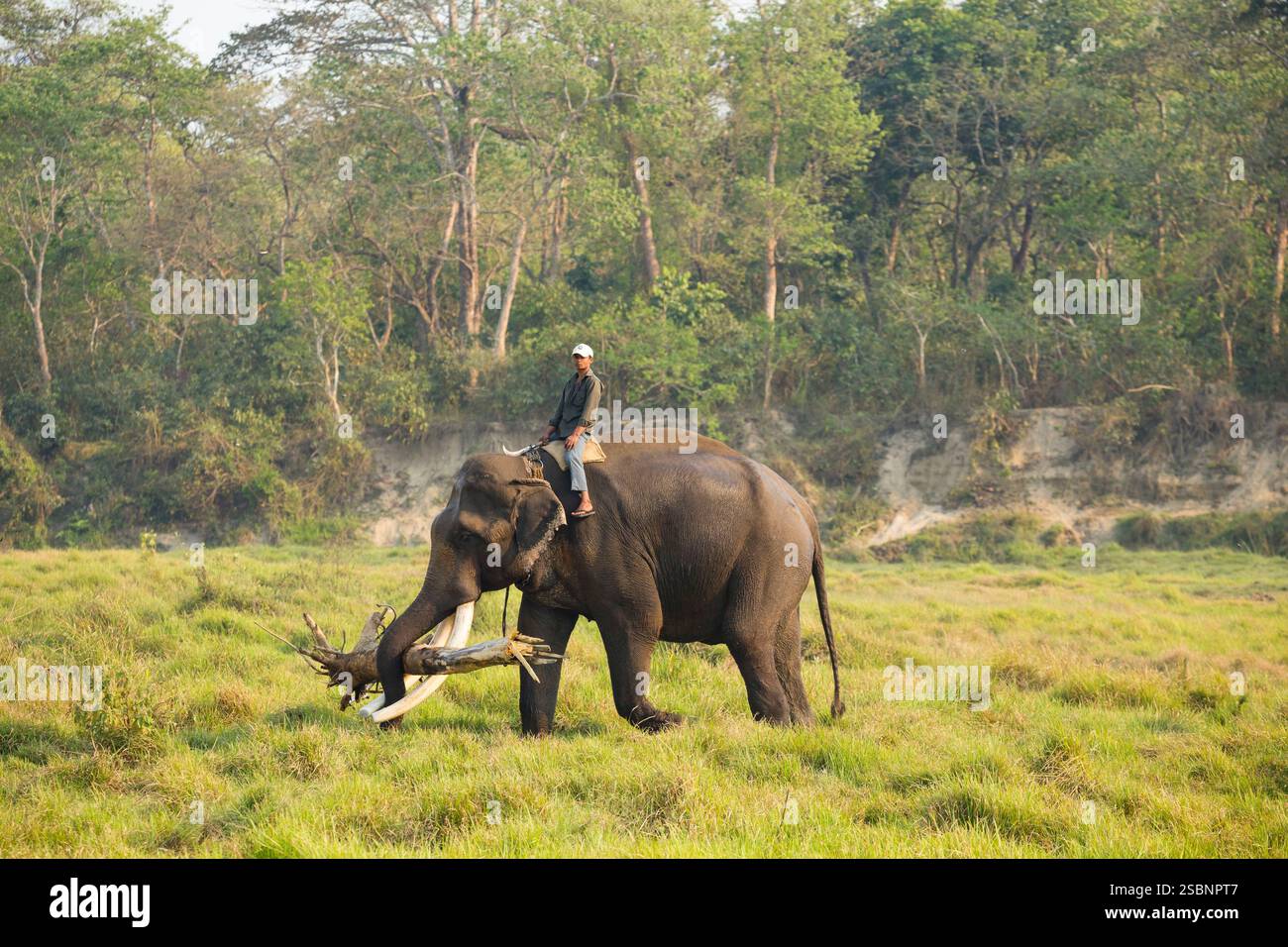Nepal, Chitwan National Park, Sauraha, Ranger of the National Park ...