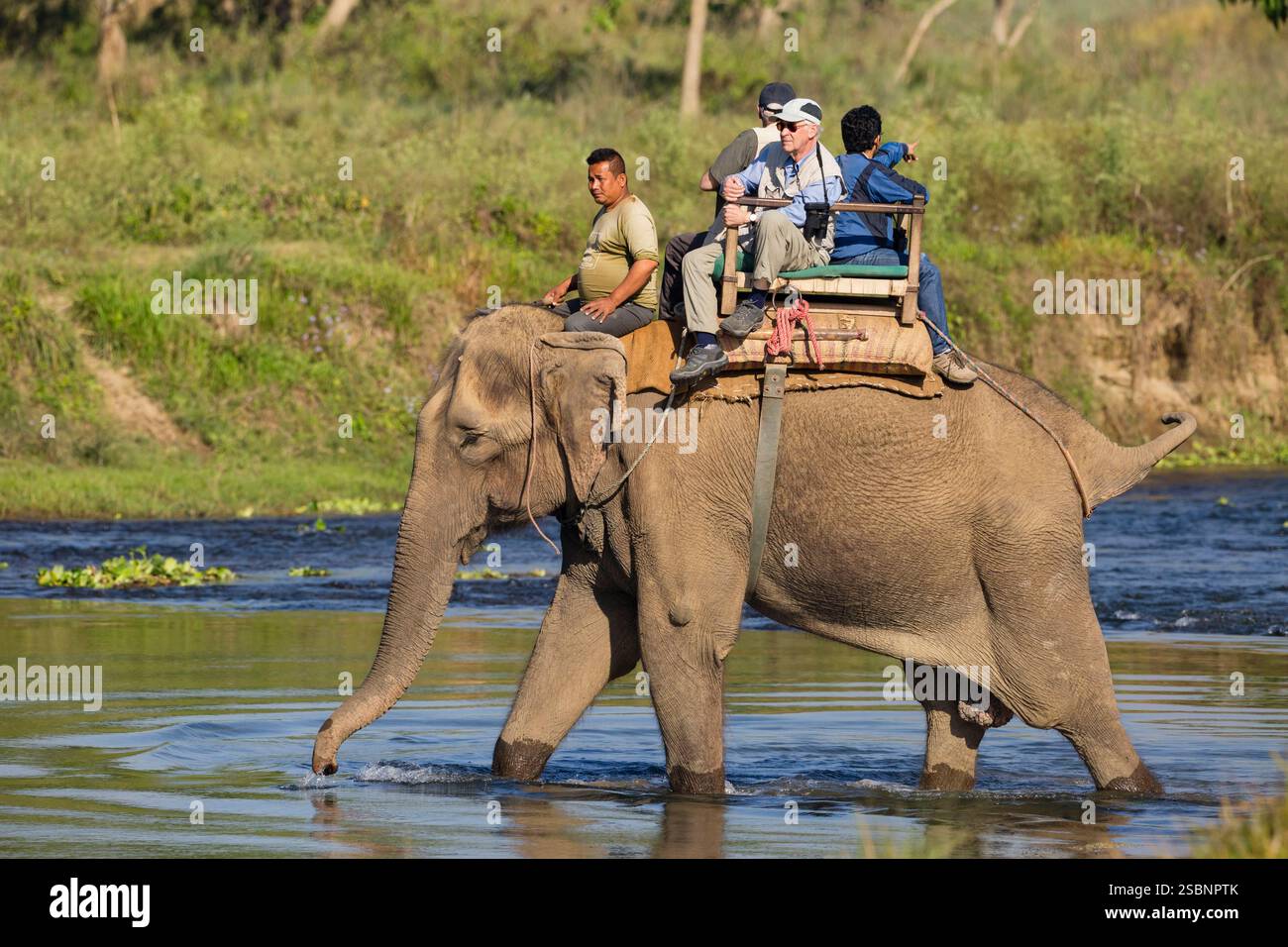 Nepal, Chitwan National Park, Sauraha, a group of scientists riding an ...