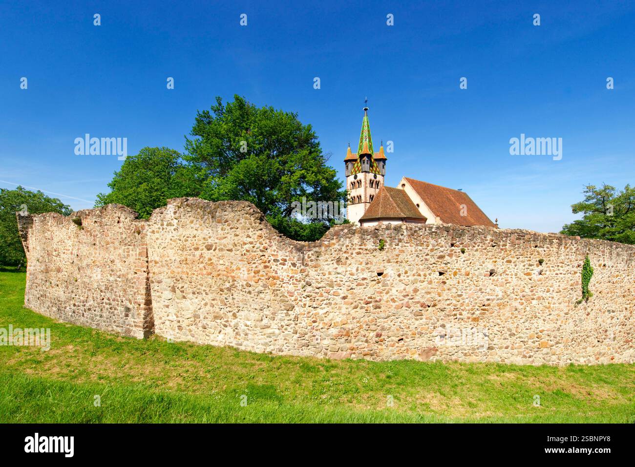 France, Haut Rhin, the Alsace Wine Route, Chatenois, the Castel site ...