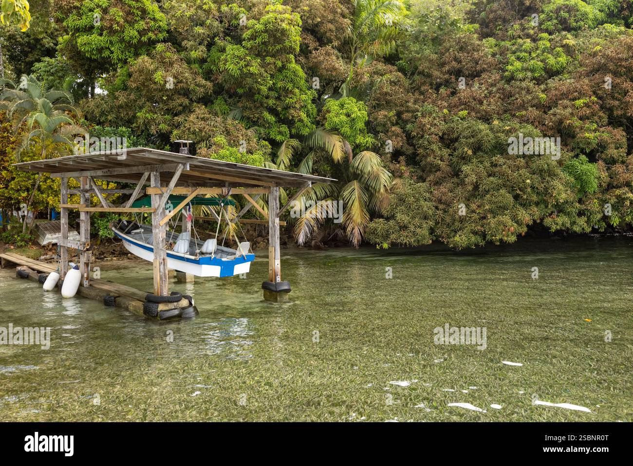 Panama, Bocas Del Toro, Isla Solarte, boat suspended under a shelter ...