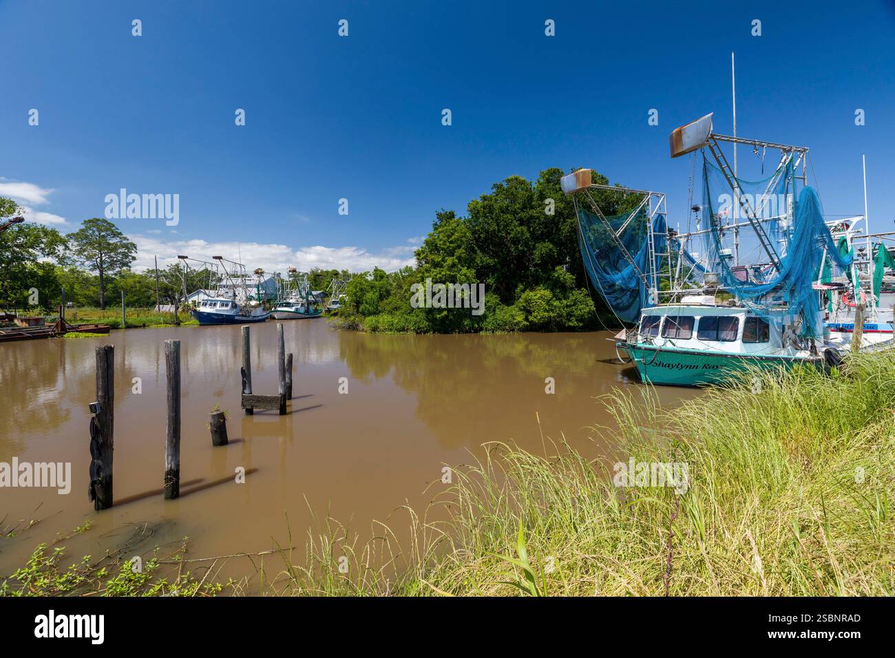 United States, Louisiana, Esther, shrimp fishing boats on the bayou ...
