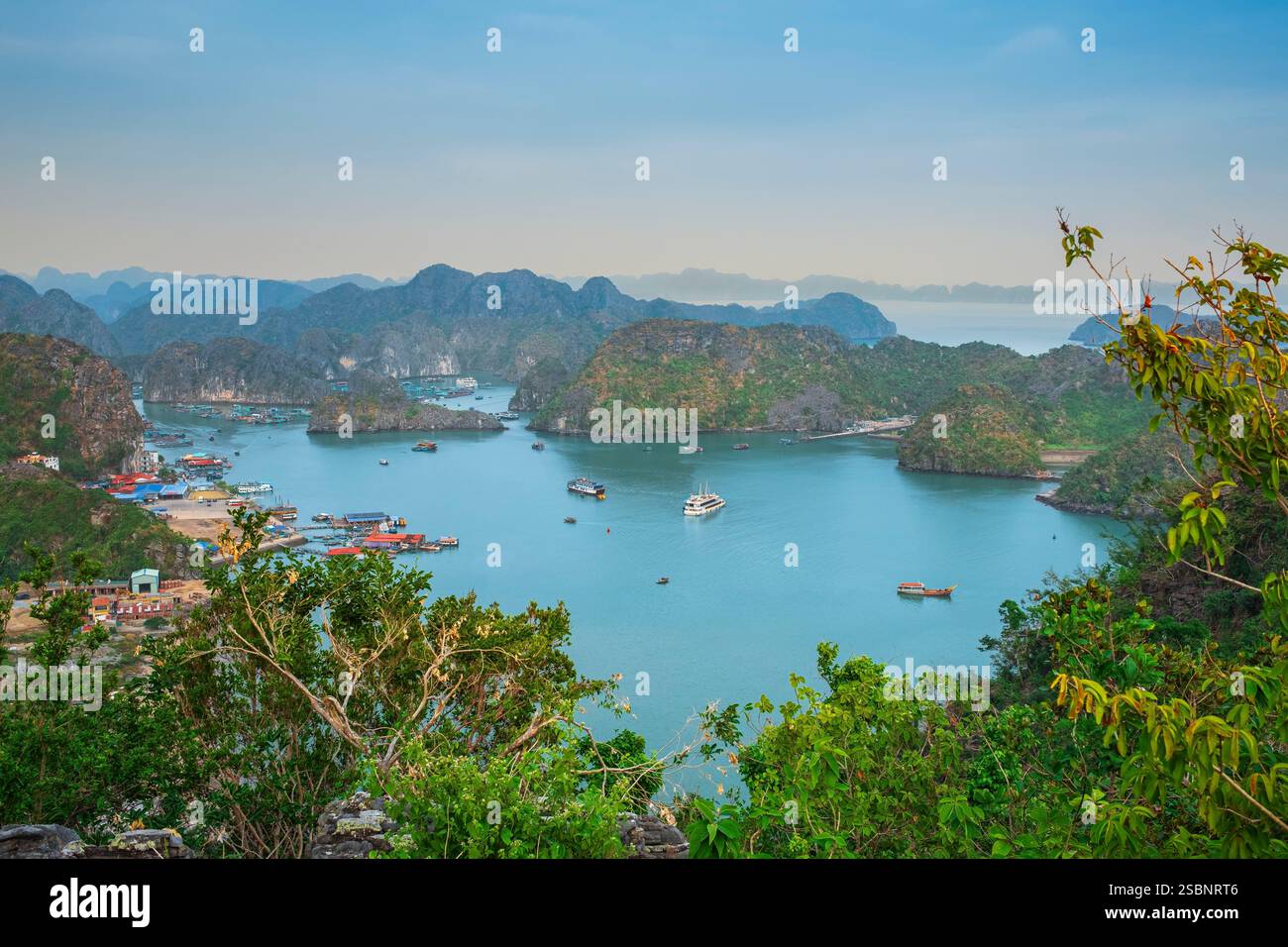 Ben beo hi-res stock photography and images - Alamy