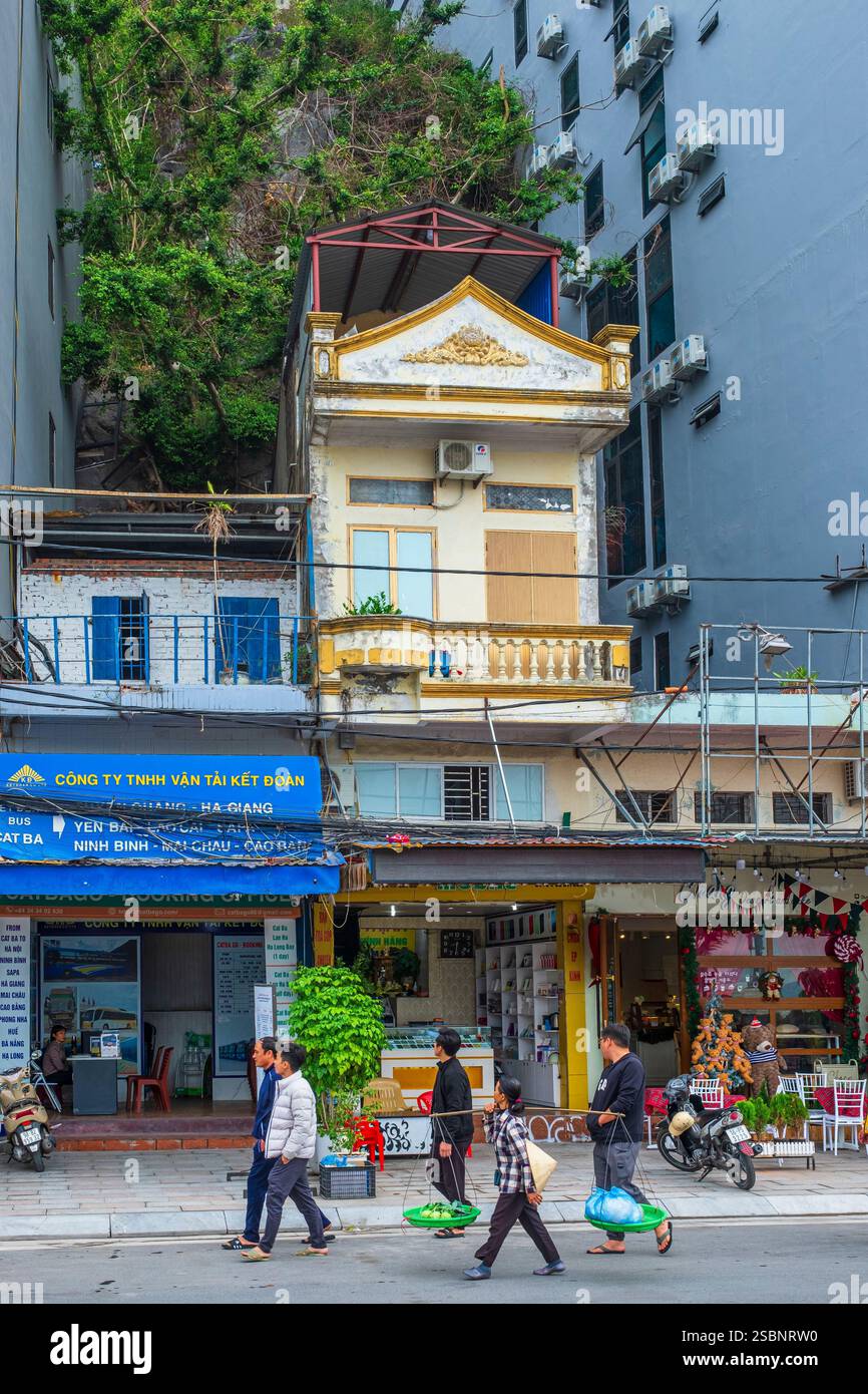 Vietnam, Haiphong Province, Cat Ba island, Cat Ba city Stock Photo - Alamy