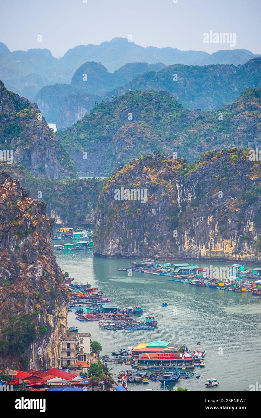 Ben beo hi-res stock photography and images - Alamy