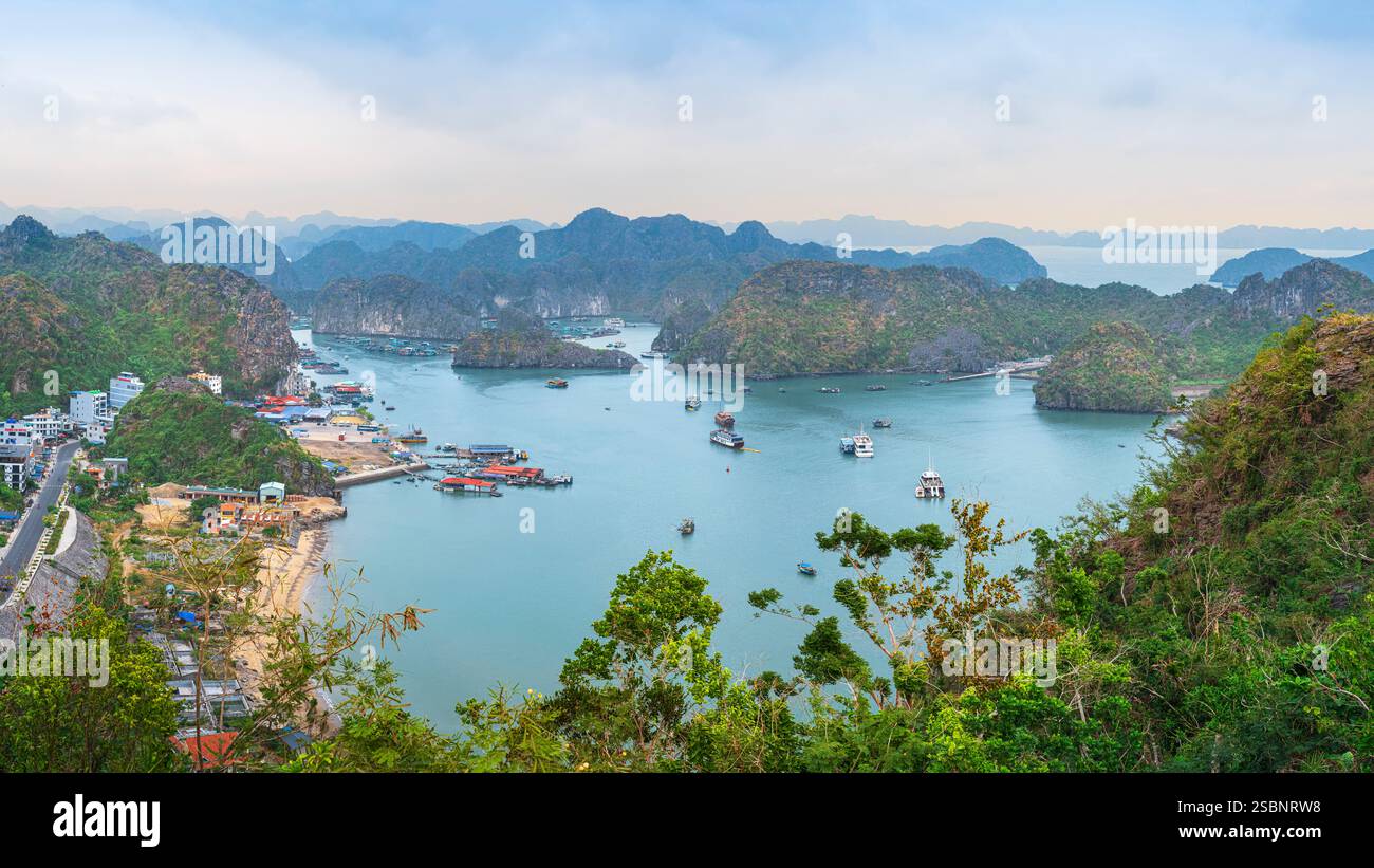 Ben beo hi-res stock photography and images - Alamy