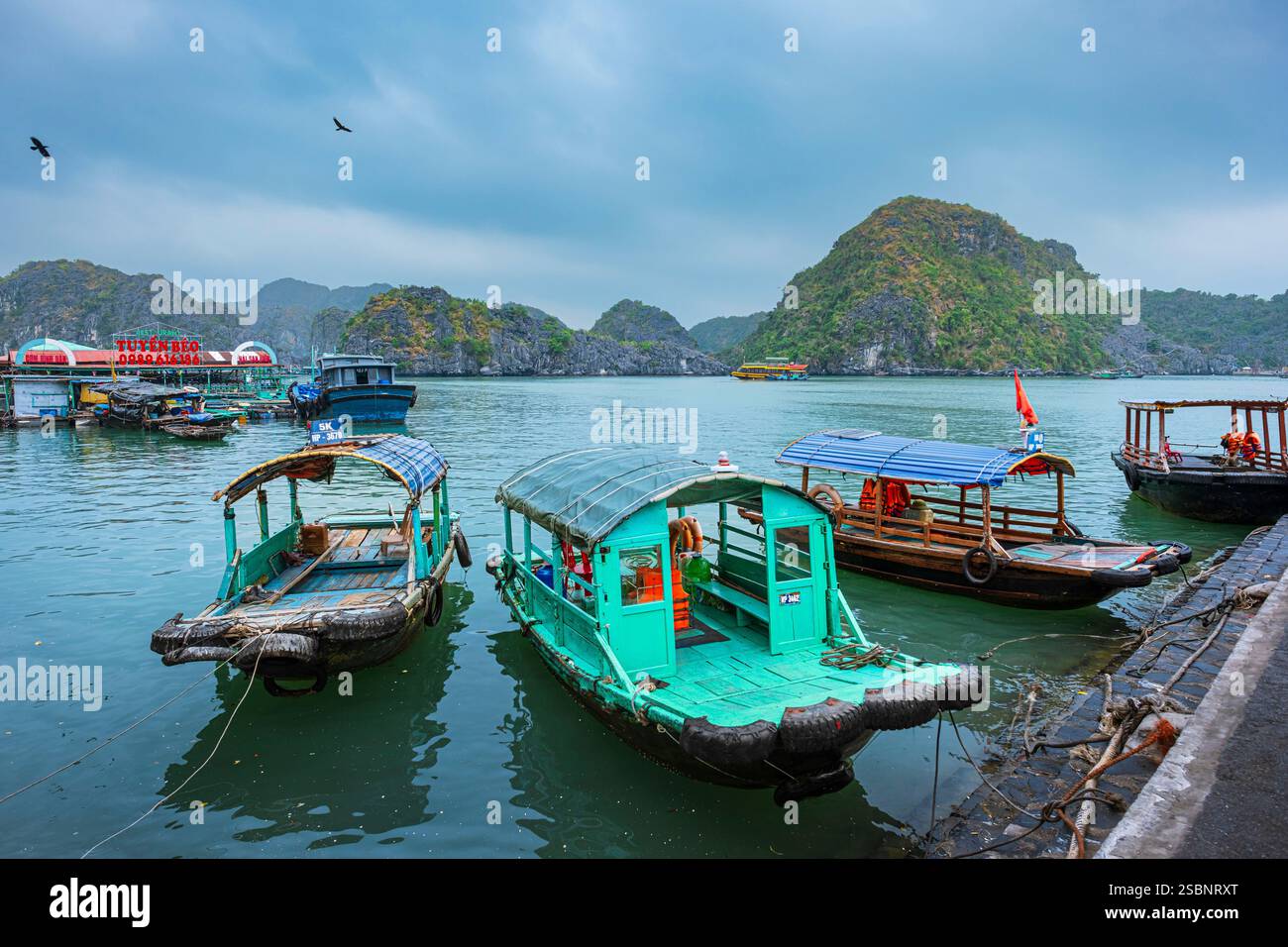 Vietnam, Haiphong Province, Cat Ba island, Ben Beo port and the karst ...