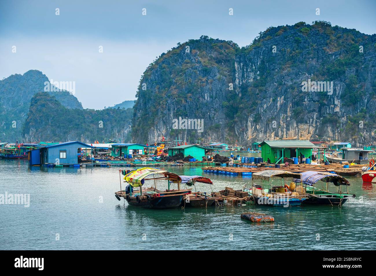 Vietnam, Haiphong Province, Cat Ba island, Cai Beo floating village in ...
