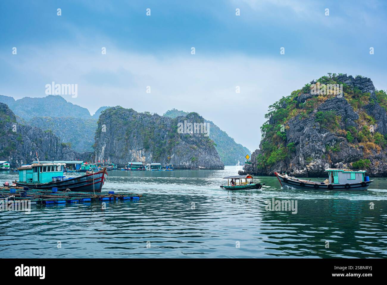 Vietnam, Haiphong Province, Cat Ba island, Cai Beo floating village in ...