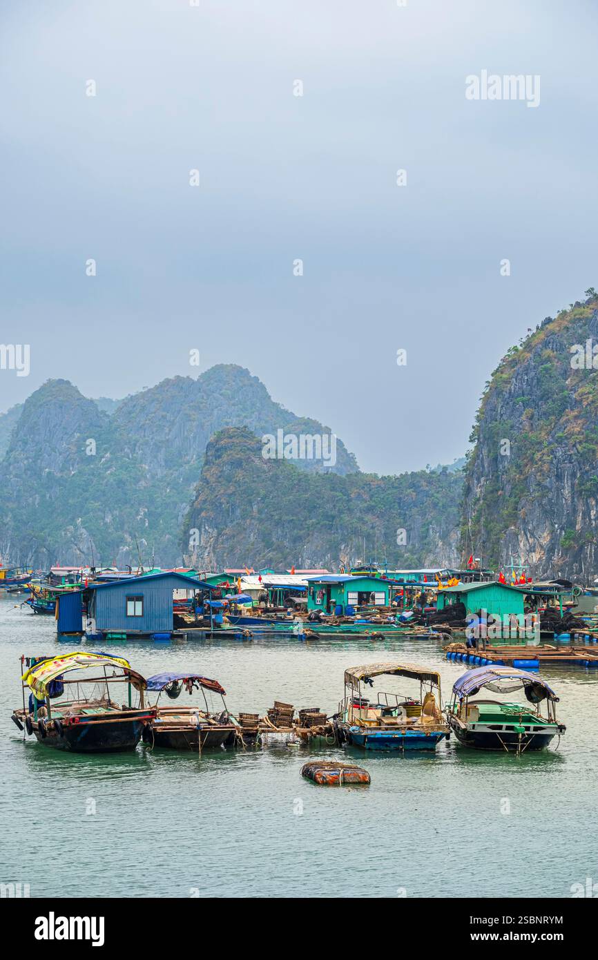 Vietnam, Haiphong Province, Cat Ba island, Cai Beo floating village in ...