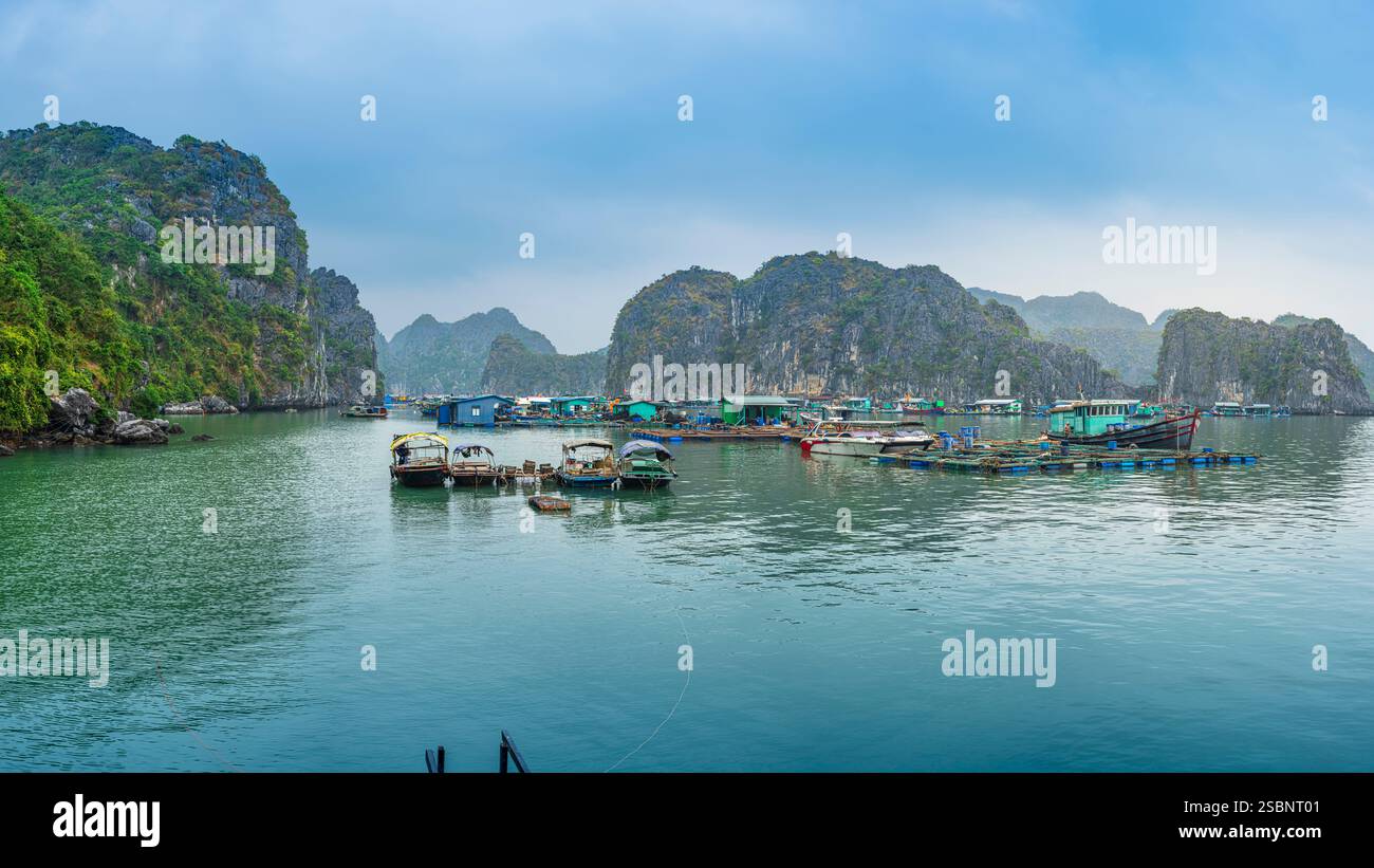 Vietnam, Haiphong Province, Cat Ba island, Cai Beo floating village in ...