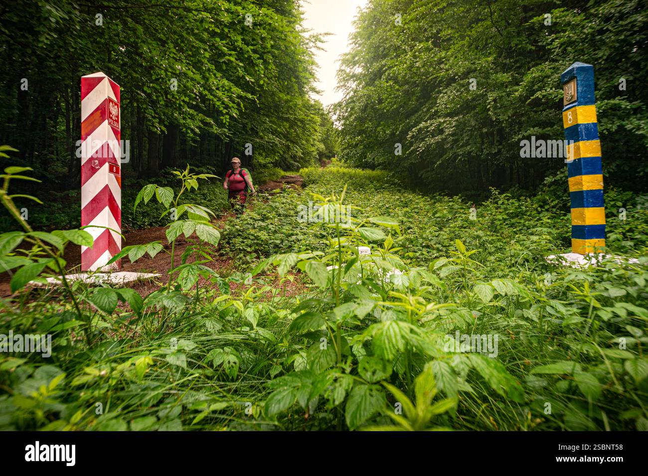 Poland, Precarpathians, Ustrzyki Górne, Bieszczady National Park ...