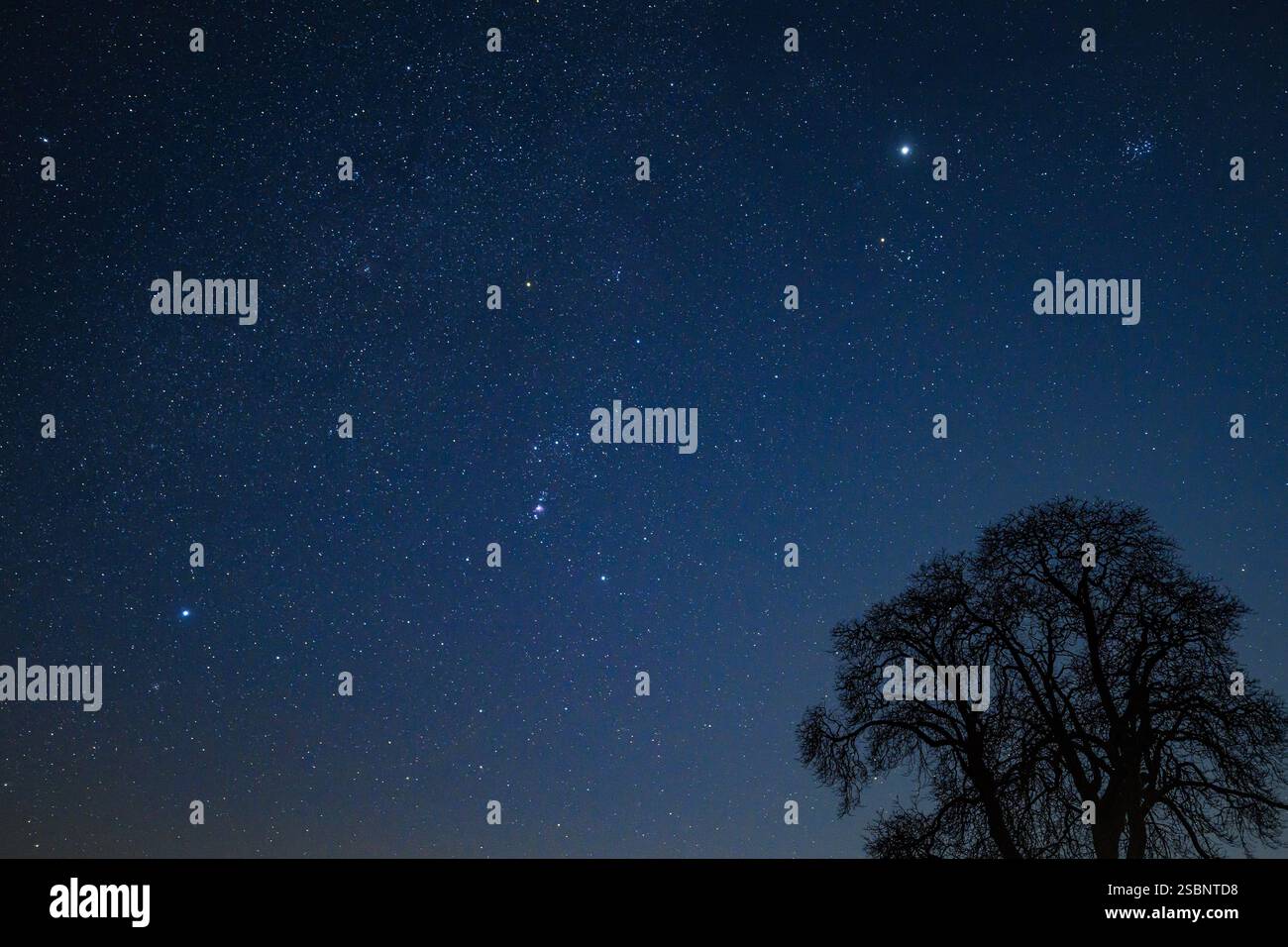 Lietzen, Germany. 03rd Feb, 2025. Part of the Milky Way can be seen in ...