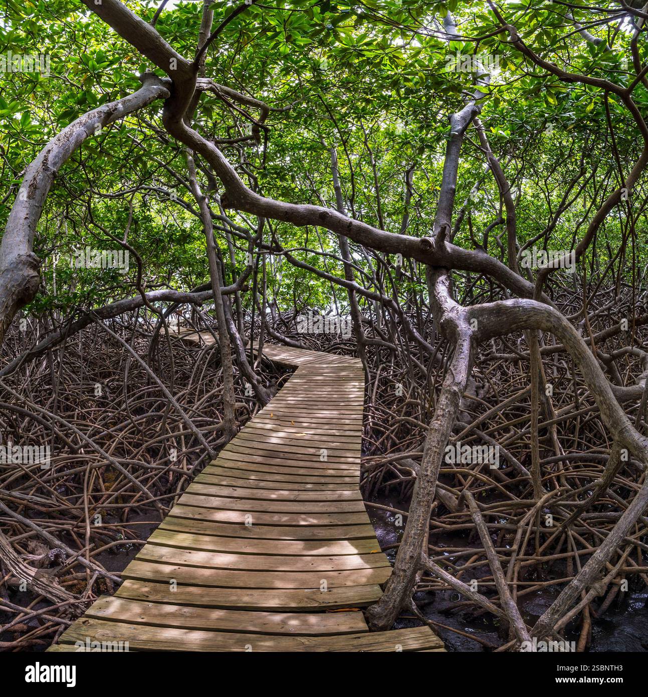 France, Caribbean, Lesser Antilles, Martinique, Martinique Regional ...