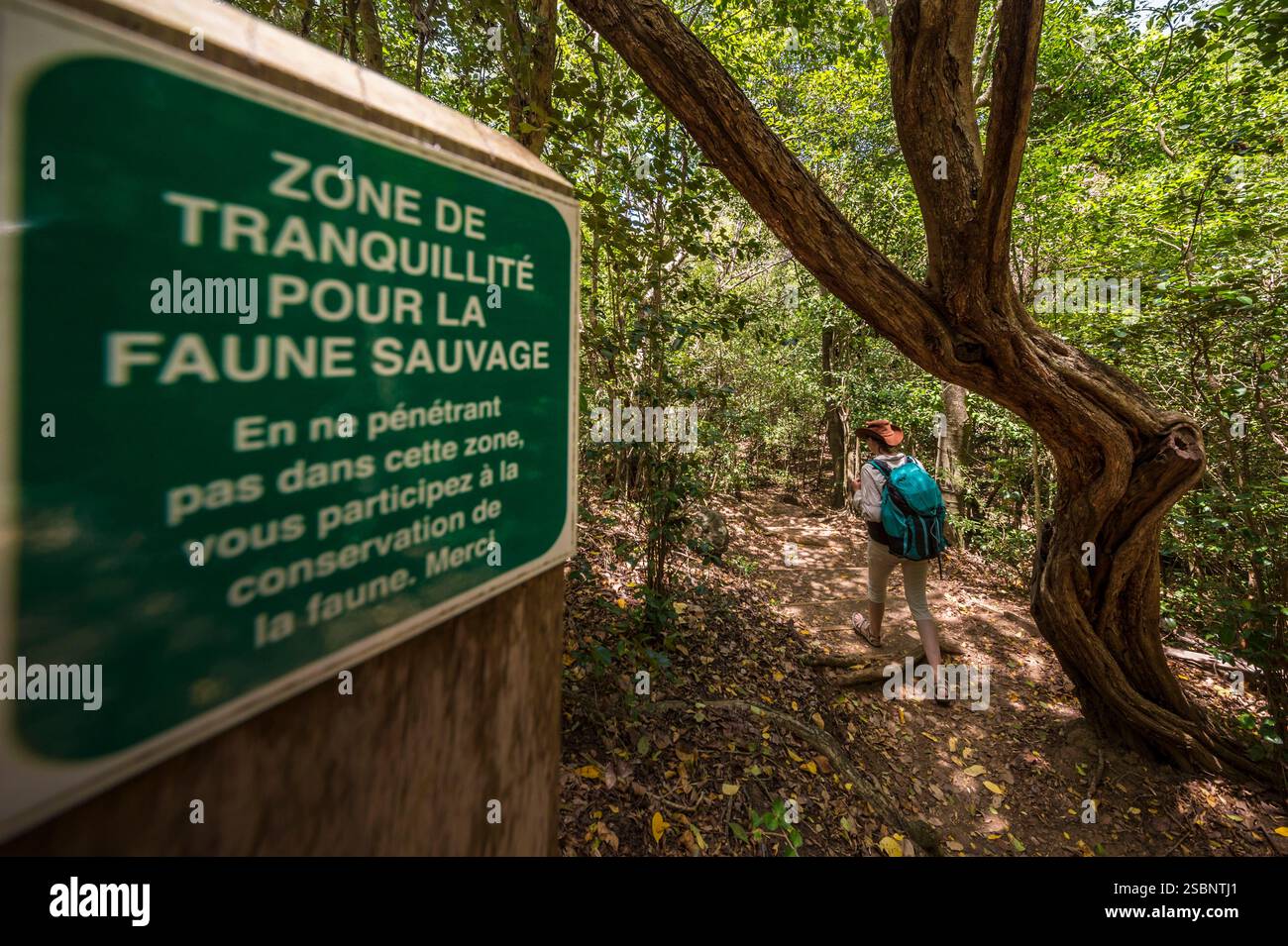 France, Caribbean, Lesser Antilles, Martinique, Martinique Regional ...