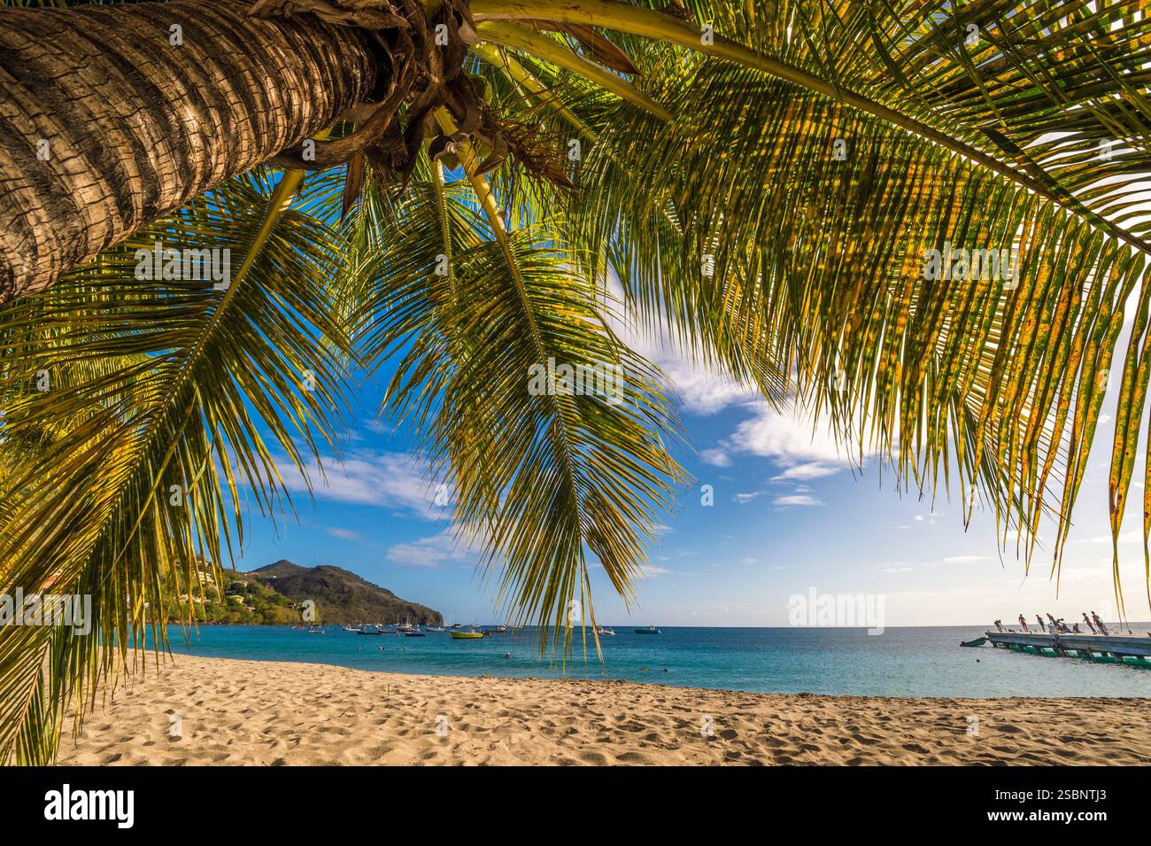 France, Caribbean, Lesser Antilles, Martinique, Les Anses-d'Arlet, the ...