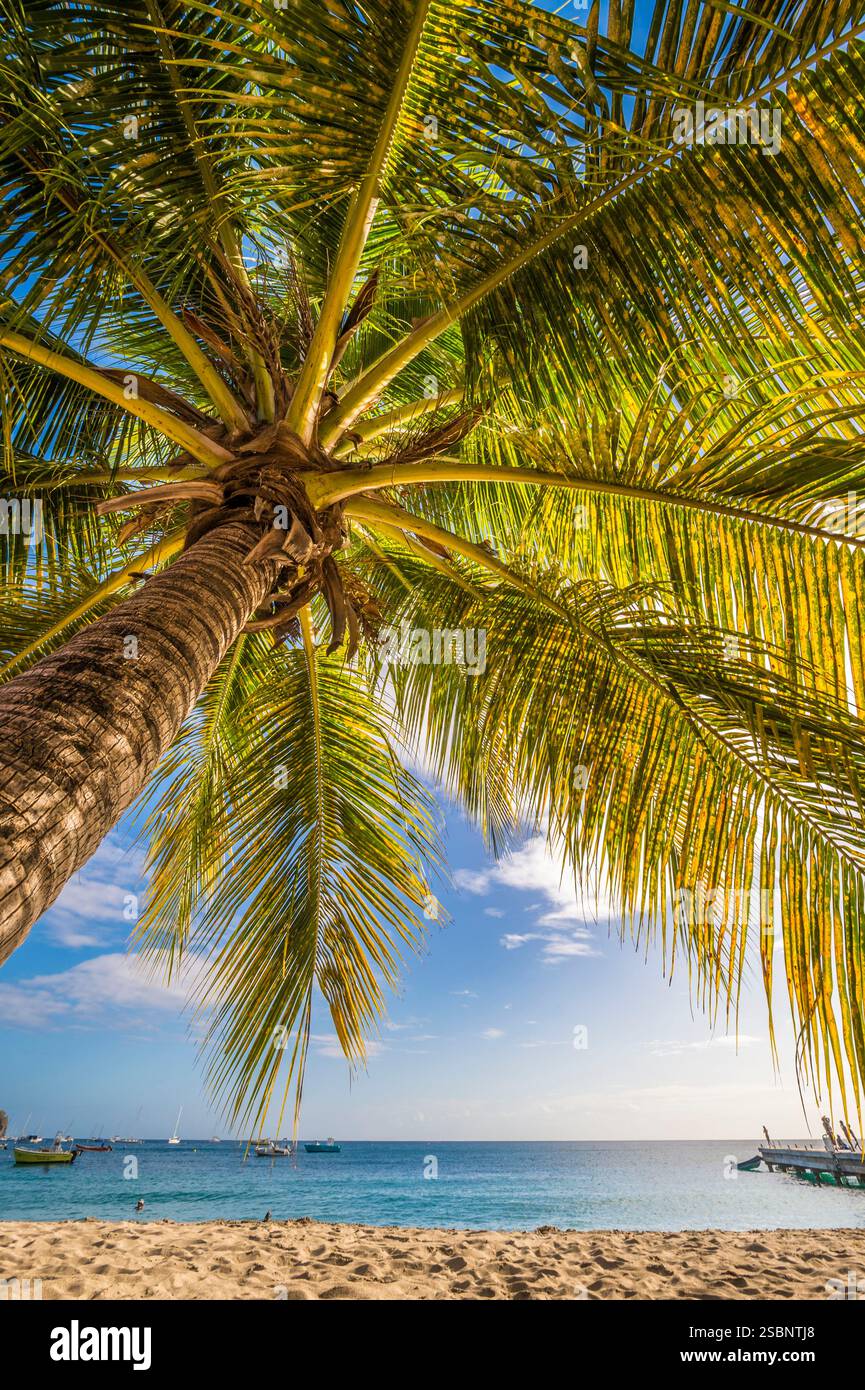 France, Caribbean, Lesser Antilles, Martinique, Les Anses-d'Arlet, the ...
