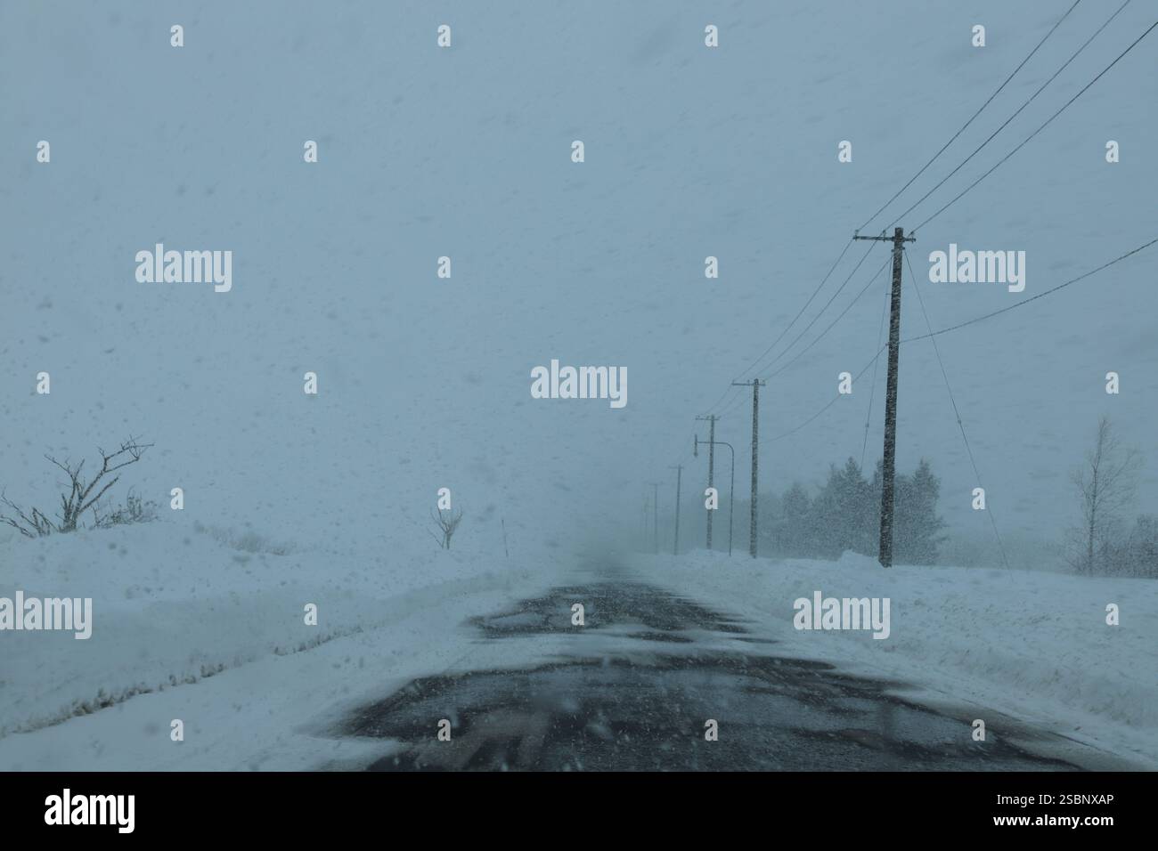 (250204) -- SAPPORO, Feb. 4, 2025 (Xinhua) -- A road is partially ...