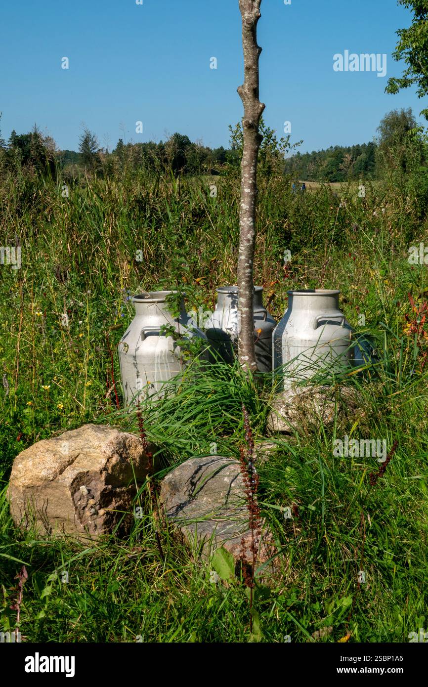 Vintage Milk Jugs in a Scenic Countryside Landscape Stock Photo - Alamy