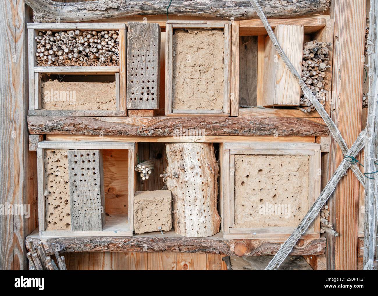 Insect houses made of different materials: clay, wood. High quality ...