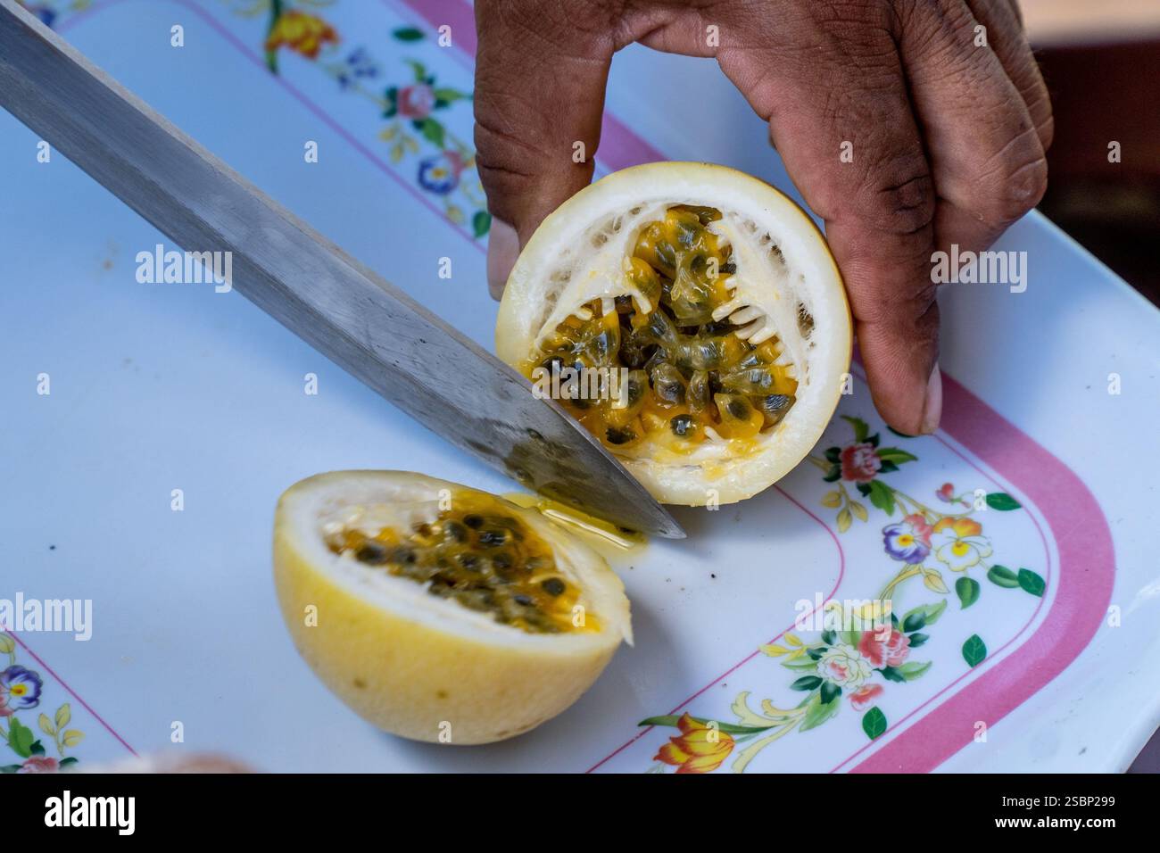 Worker slices open fruit from pineapple farm in Santa Rita, Panama ...