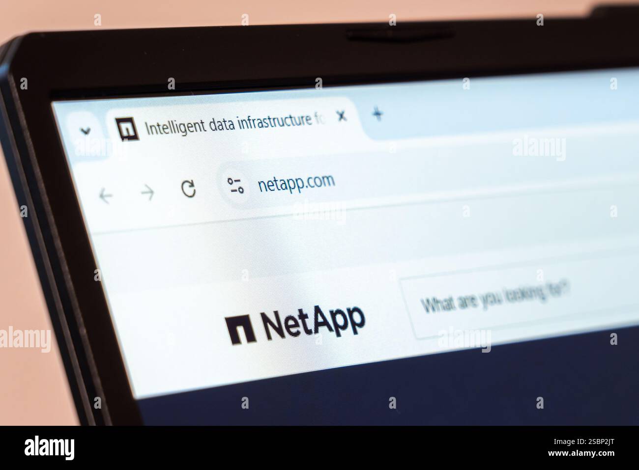 New York, USA - January 31, 2025: NetApp data storage and cloud ...