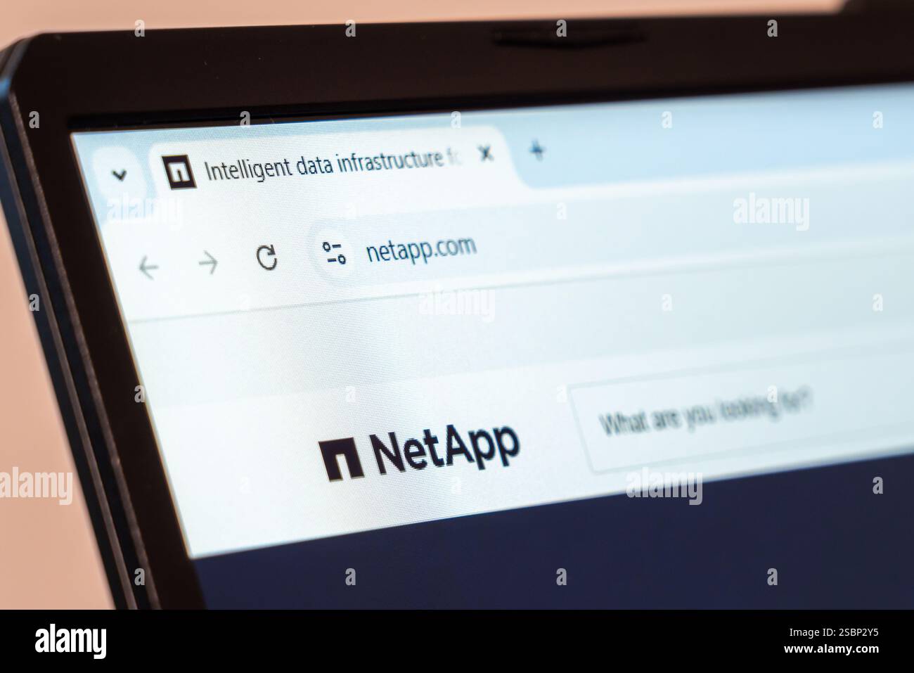 New York, USA - January 31, 2025: NetApp website homepage on laptop ...