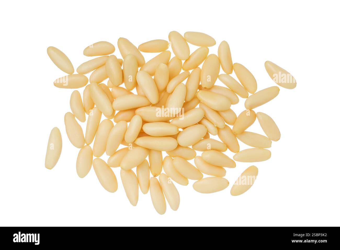 Shelled European pine nuts isolated on white background with full depth ...