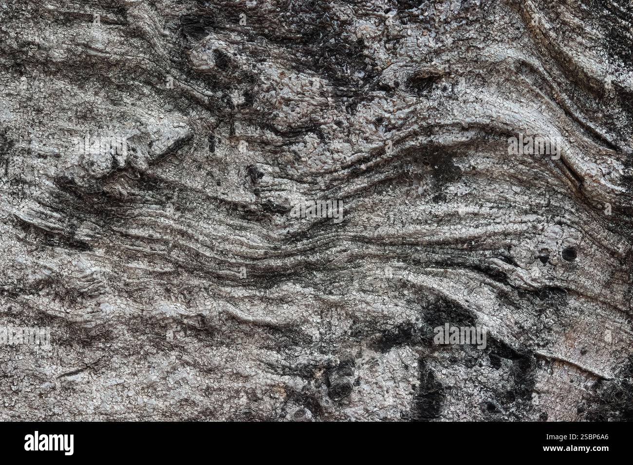 Contrasting wood texture for intro or background Stock Photo - Alamy