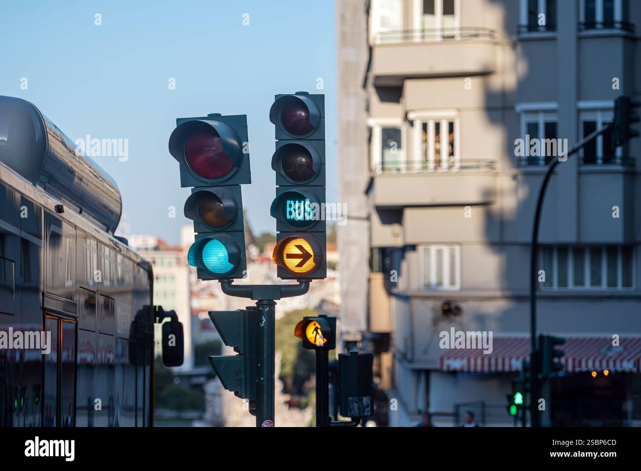 Traffic lights displaying signals for vehicles and buses in an urban ...