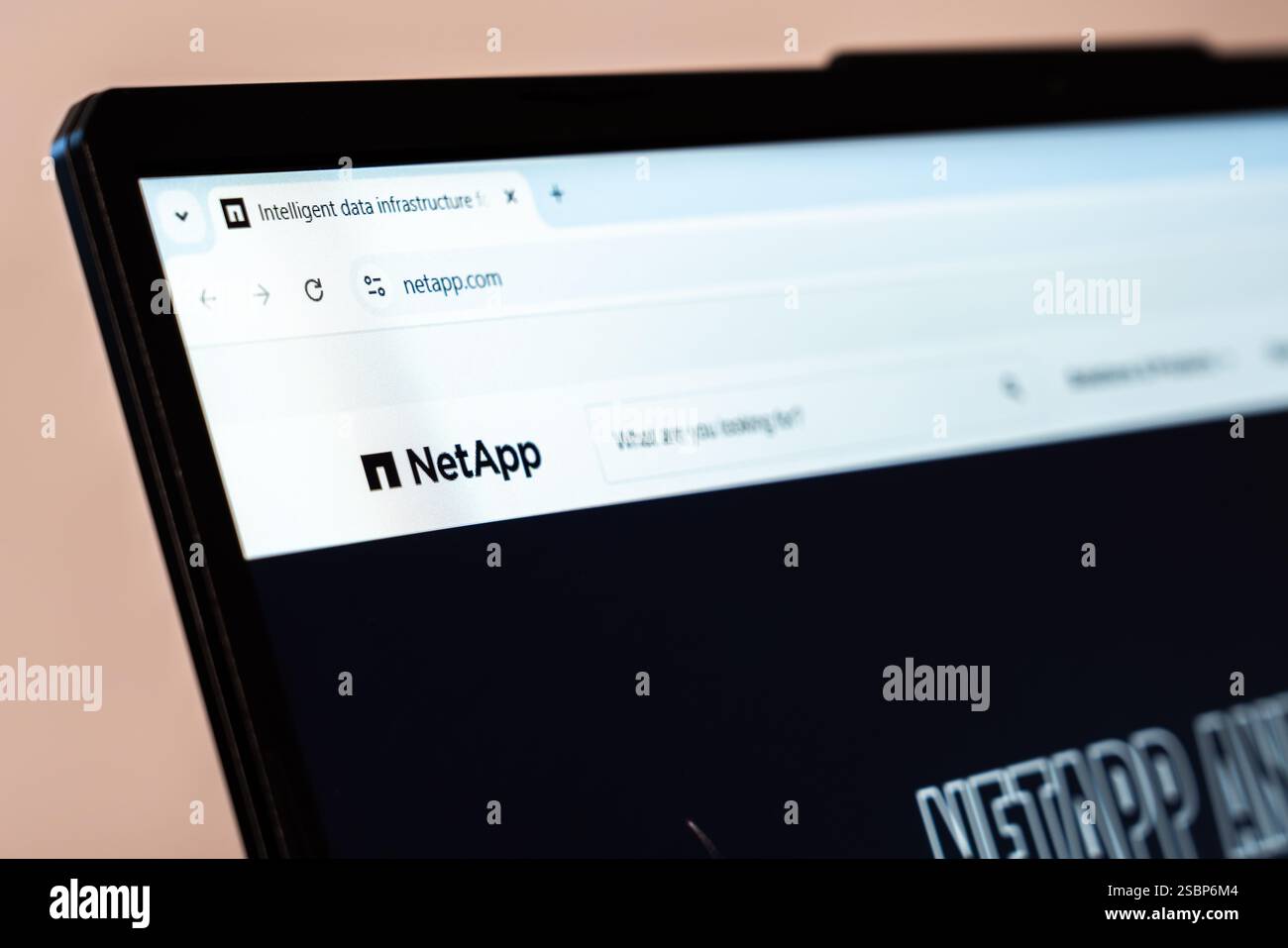 New York, USA - January 31, 2025: NetApp website homepage on laptop ...