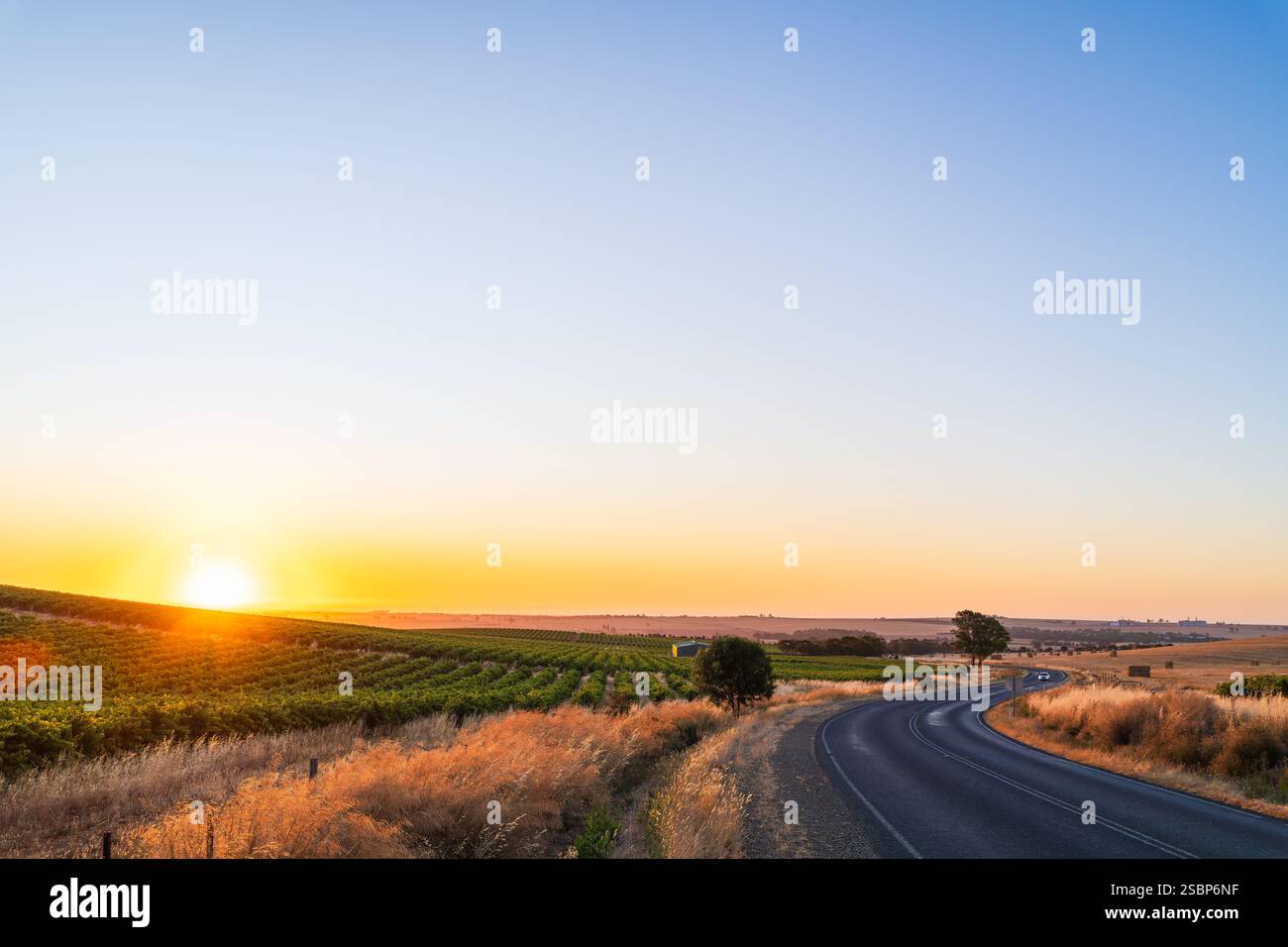 Beautiful winding road through Barossa Valley wine region, Tanunda ...