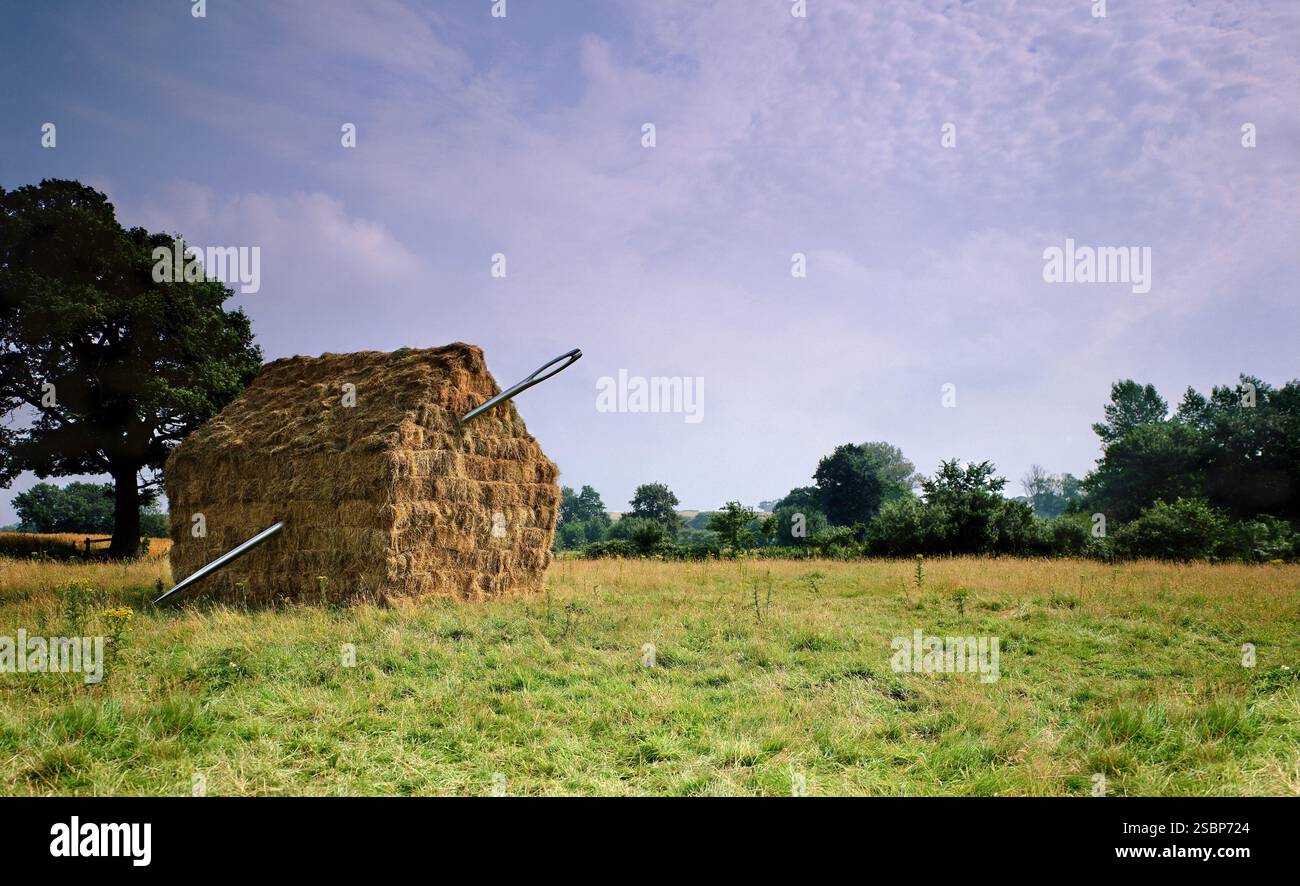 Huge Needle in a Haystack Stock Photo - Alamy