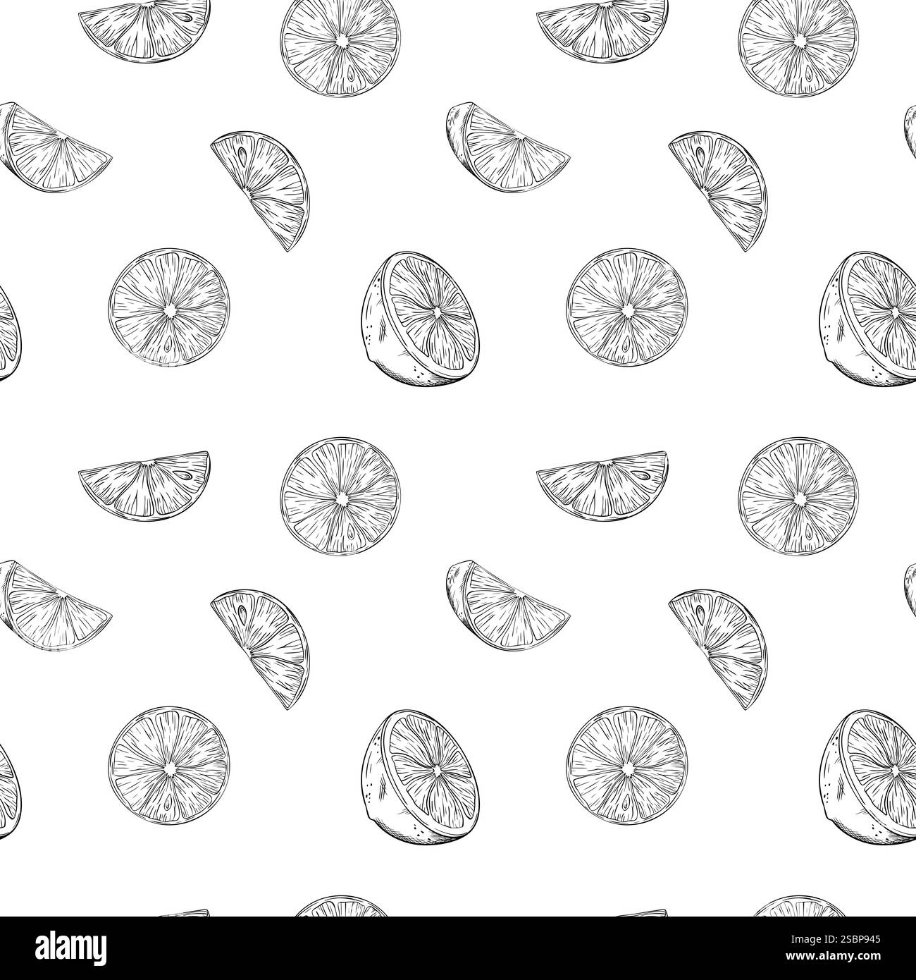 Seamless pattern of Lemon or lime slice. Vector illustration. Sketch hand drawn. Half tropical ...