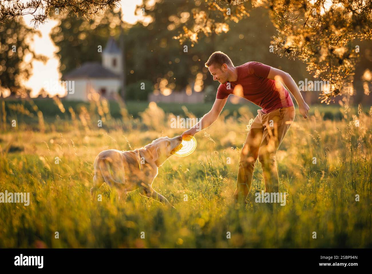 Man playing with dog on summer day. Pet owner throwing disc to his ...