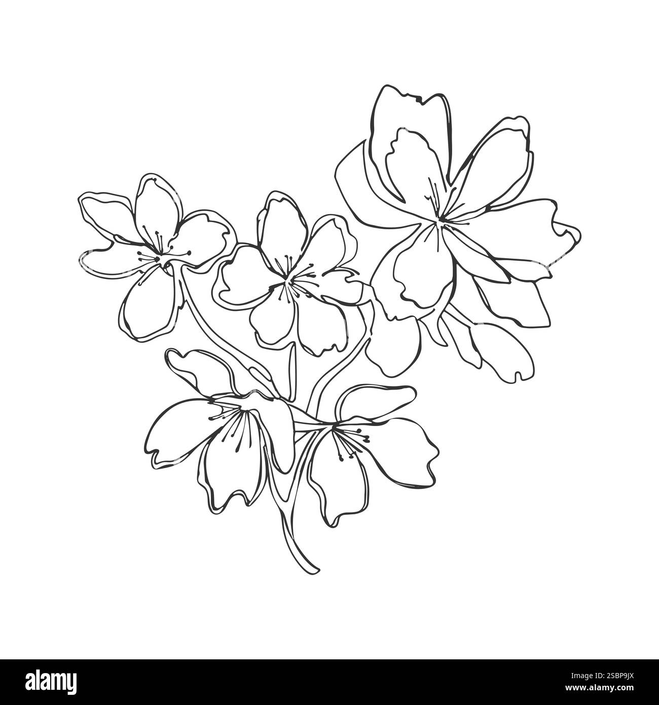 Flowers doodle stylized, contour abstract drawing, outline sketch ...