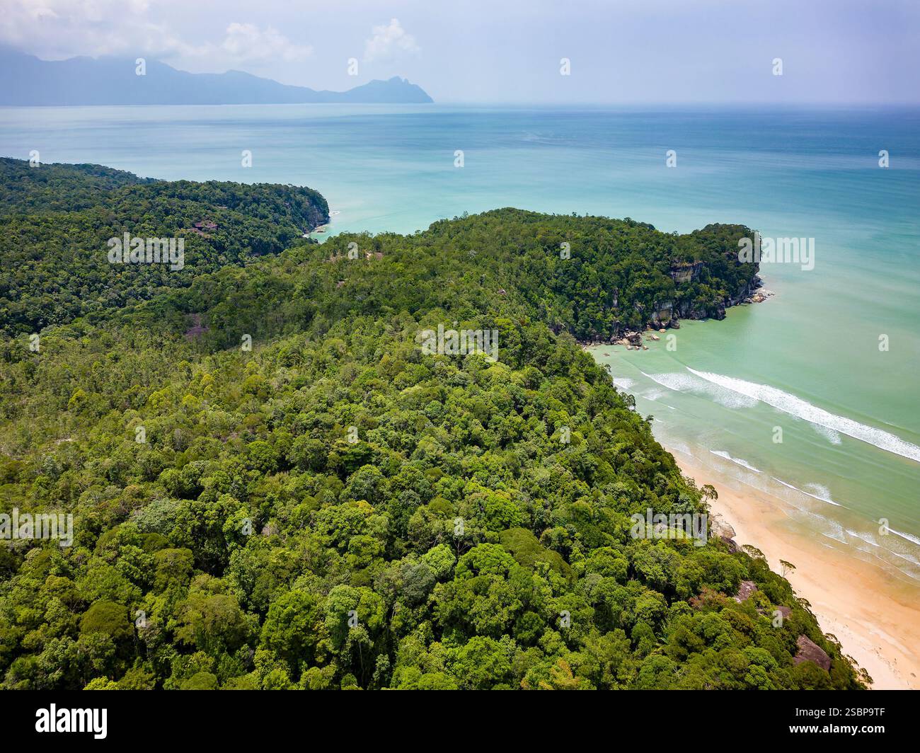 Thick tropical jungle and a shallow ocean (Borneo Stock Photo - Alamy