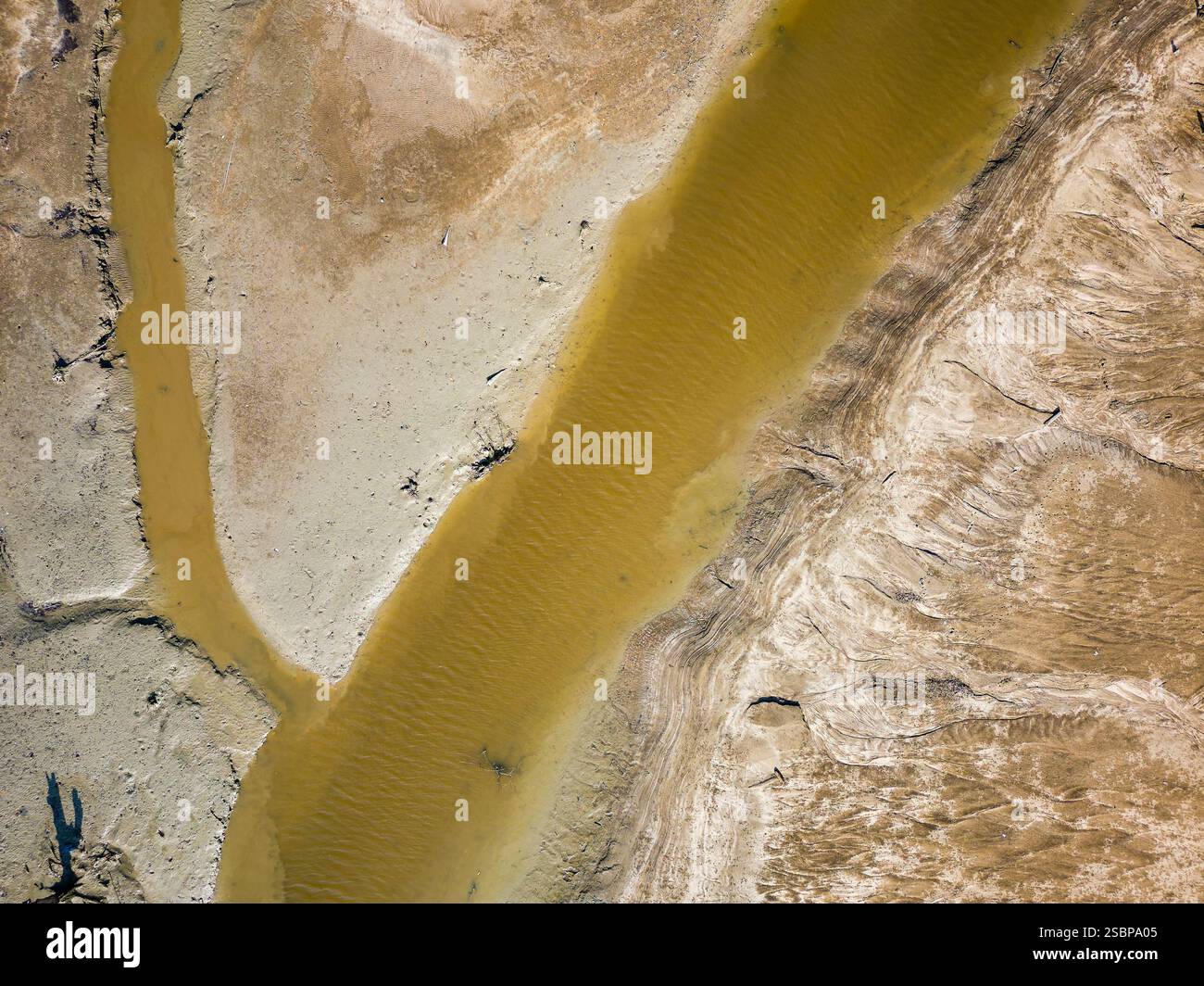 Top down view of coastal mangrove forest at low tide Stock Photo - Alamy