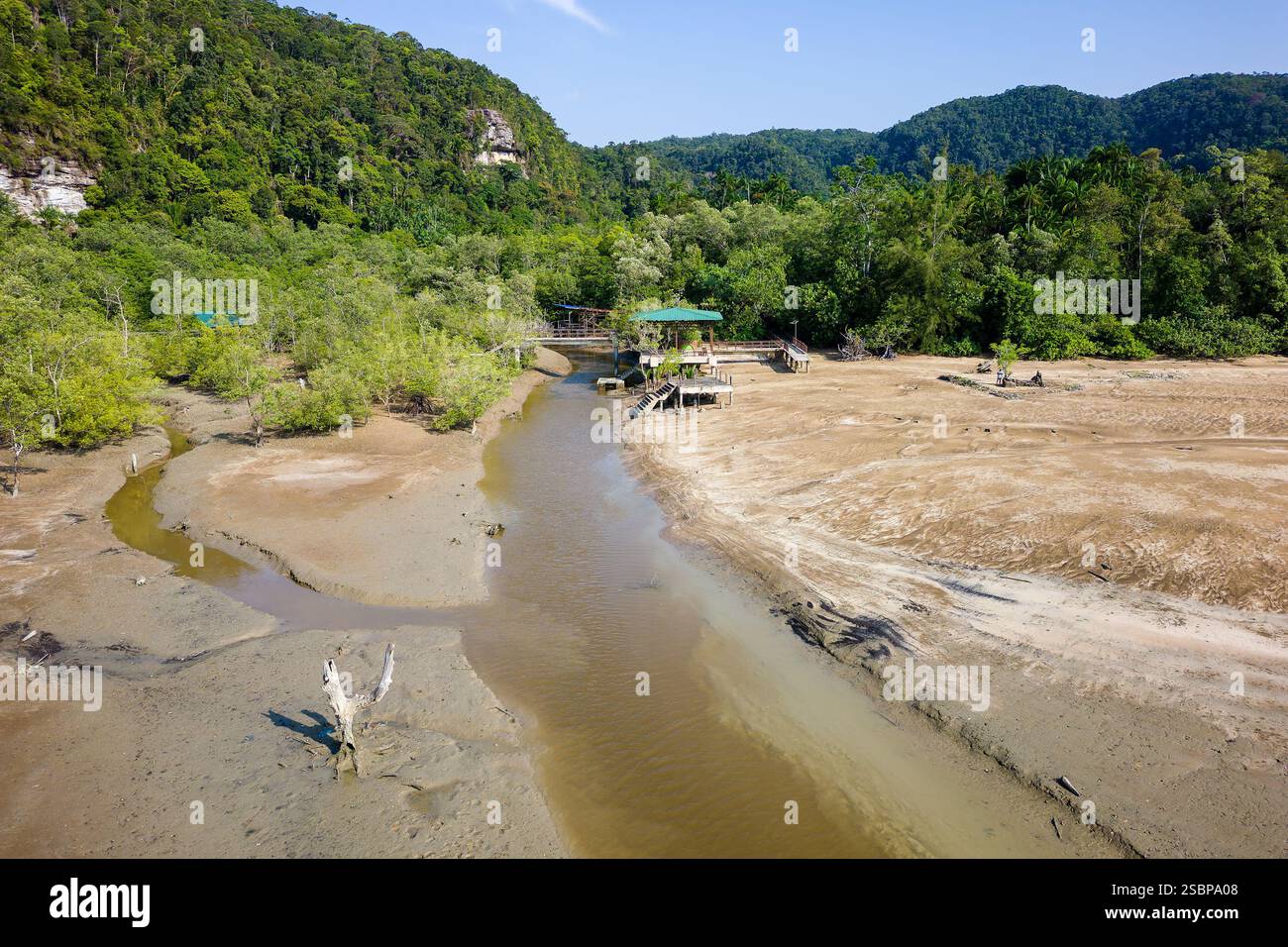 Coastal mangrove forest at low tide surrounded by thick, green tropical ...