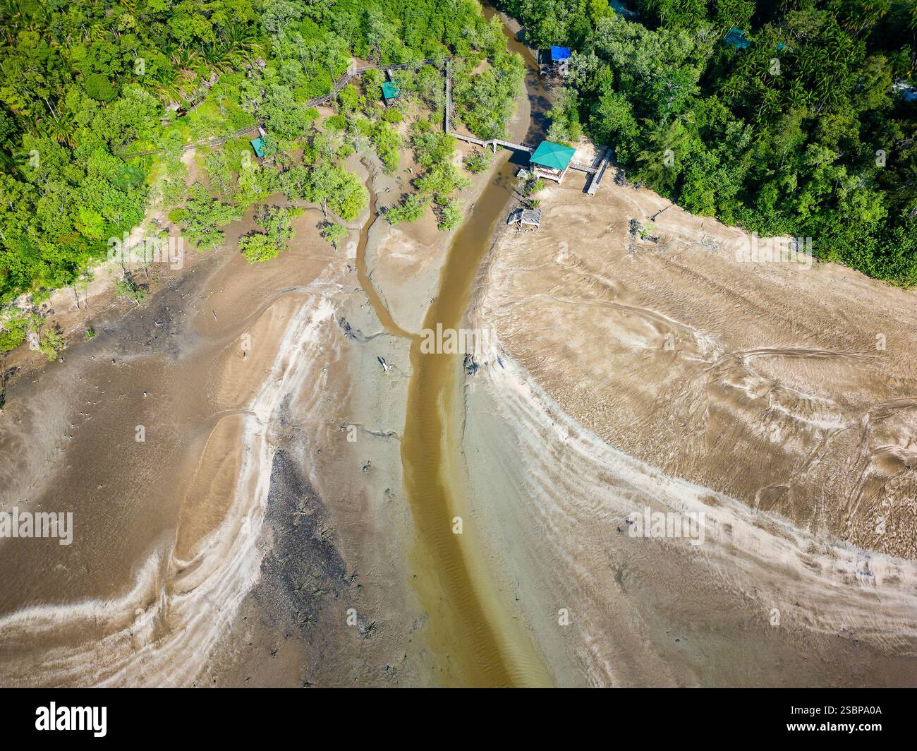 Top down view of coastal mangrove forest at low tide Stock Photo - Alamy
