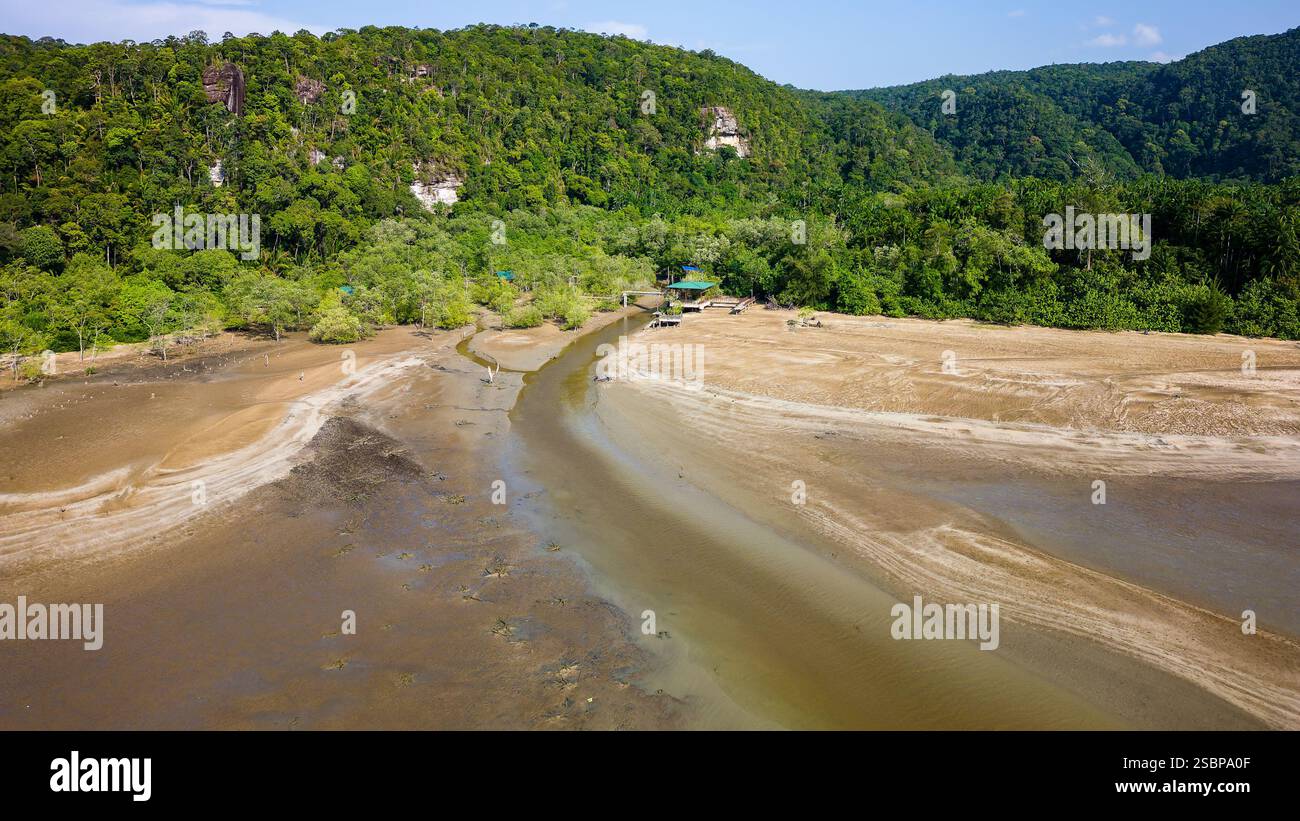 Coastal mangrove forest at low tide surrounded by thick, green tropical ...