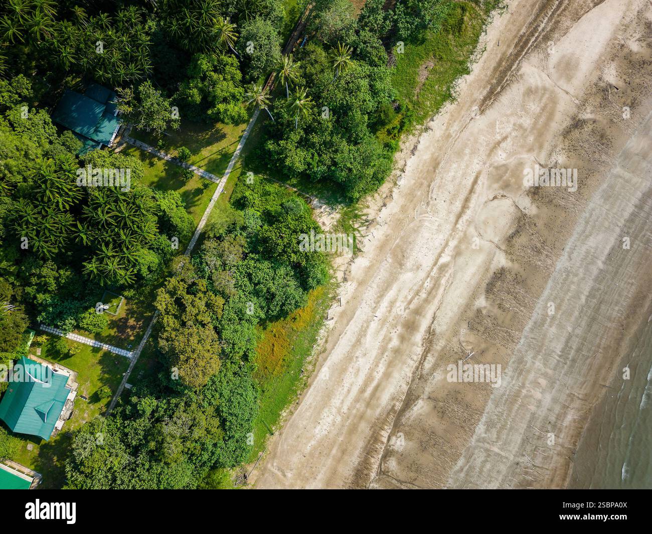 Top down view of a sandy beach and tropical jungle at Bako, Borneo ...