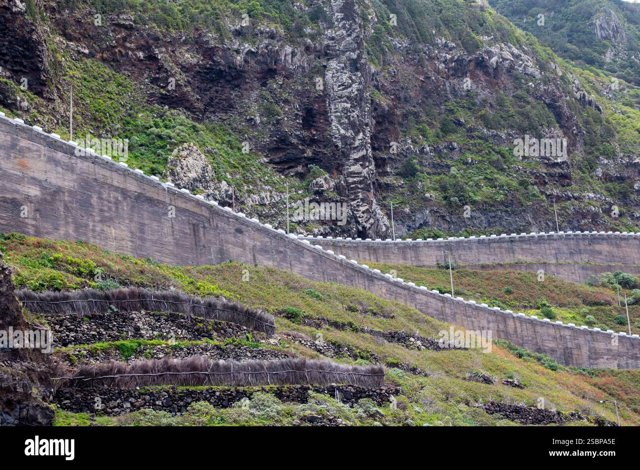 Rough surface of a mountain with green spots of grass and spring plants ...