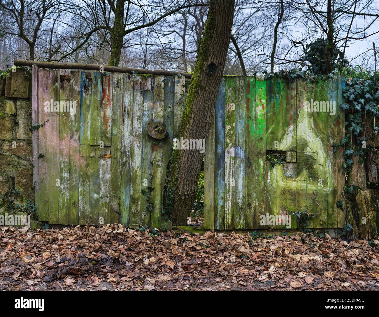old broad wooden gate with an interesting texture, digital medium ...
