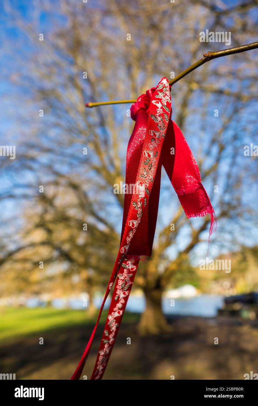 Ribbons Tied to the Wishing Tree, Marsh Meadows, Henley-on-Thames ...