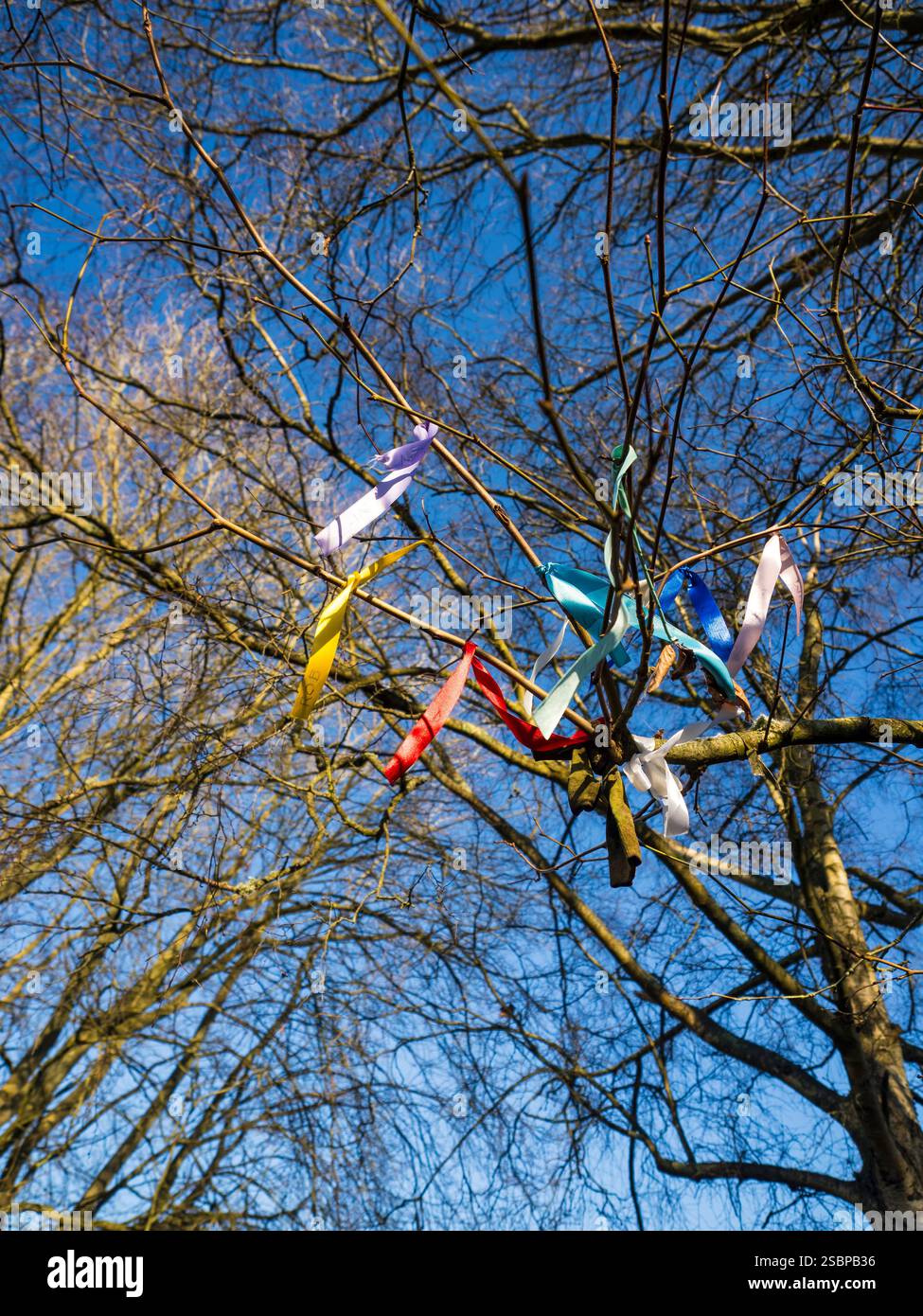 Ribbons Tied to the Wishing Tree, Marsh Meadows, Henley-on-Thames ...