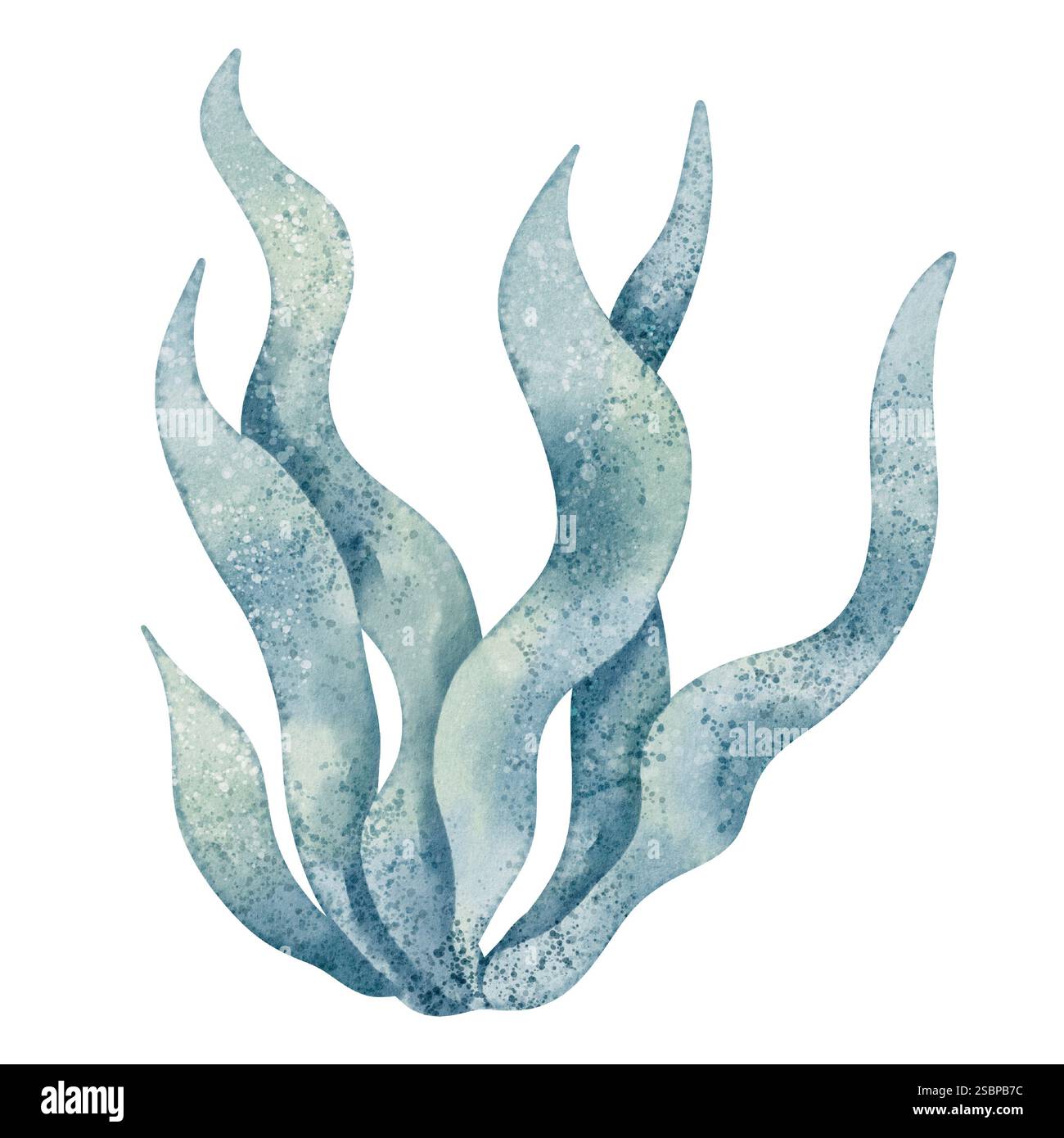 Watercolor Seaweed illustration in green and blue colors. Drawing of ...